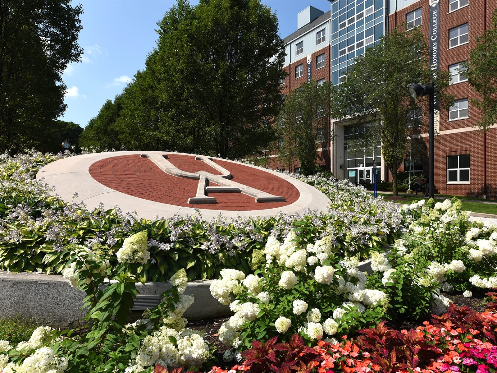 Amazon.com: The College Tour : Alex Boylan, Daren Woolsey, Bob Jury ...
