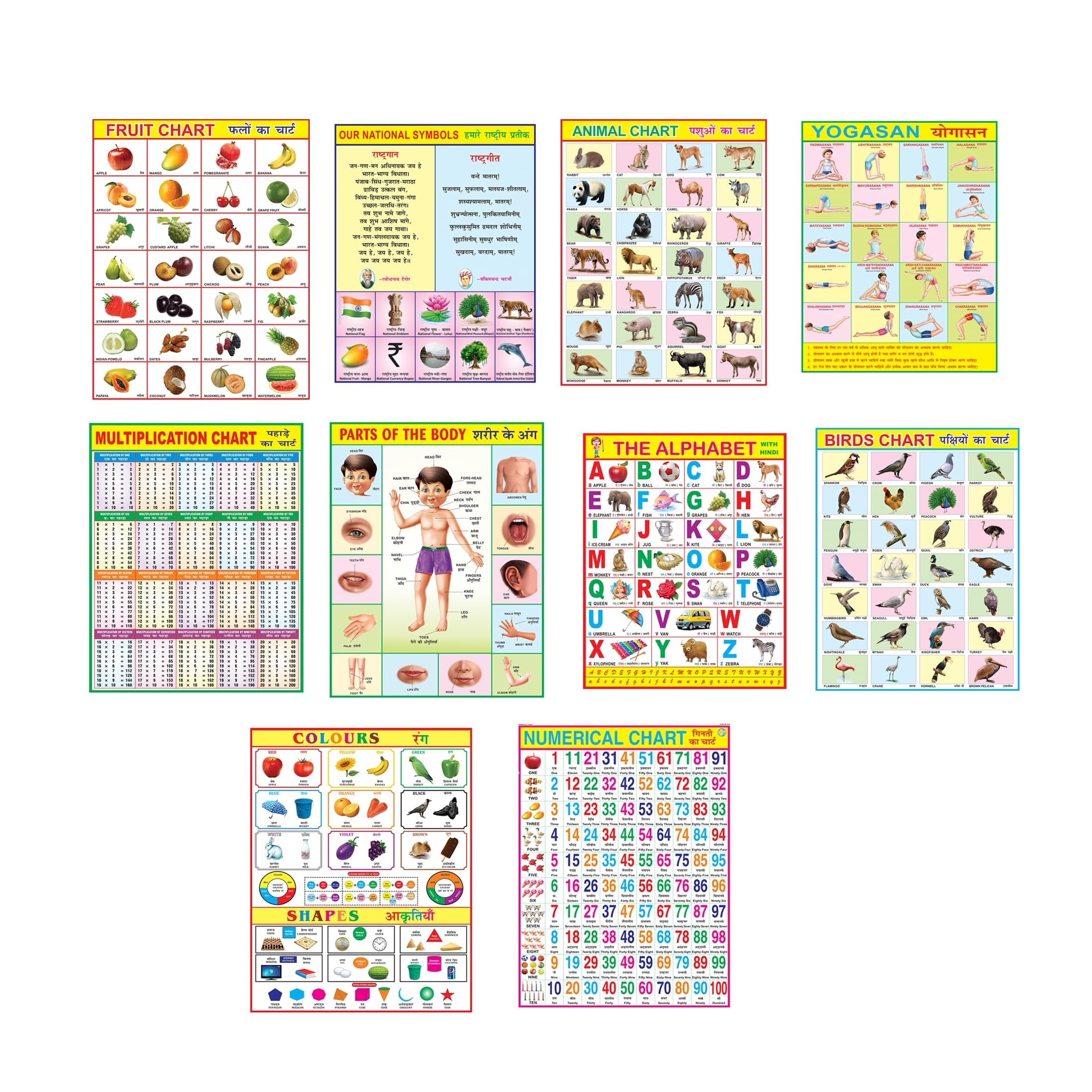 Buy Eoi Marketing Combo Of 10 Chart|Yoan, Numerical, Animals, Birds ...