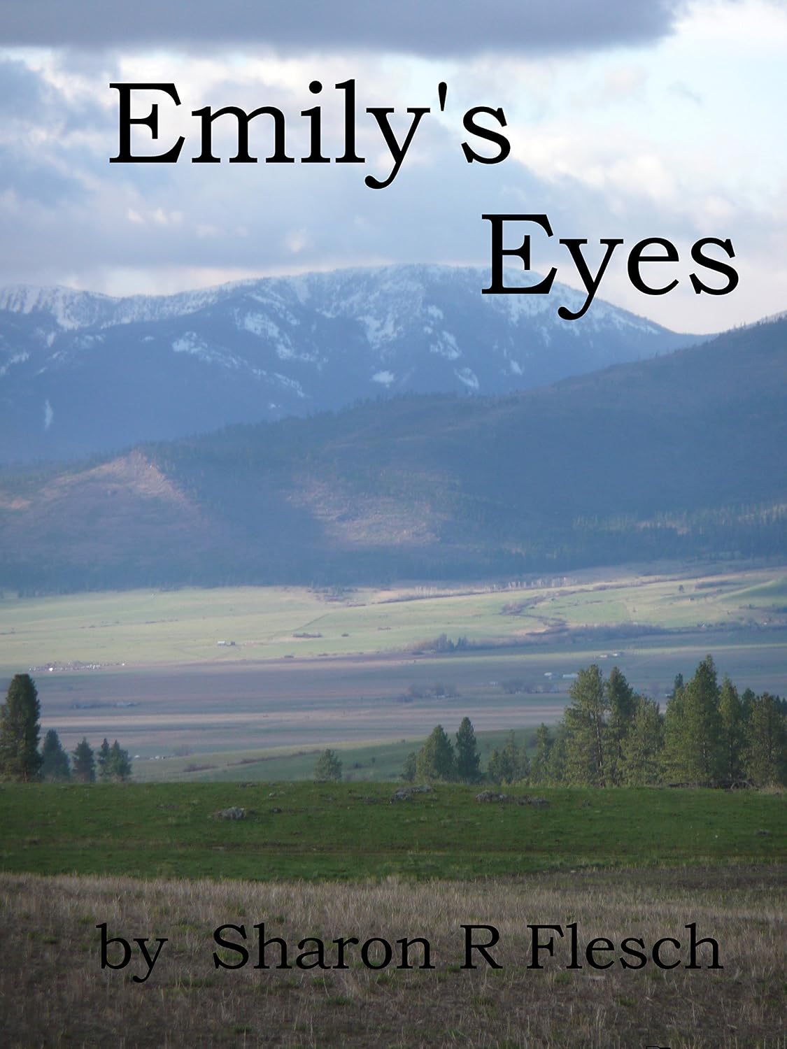 Amazon.com: Emily's Eyes (Kilbourne Clan Book 2) eBook : Flesch, Sharon ...