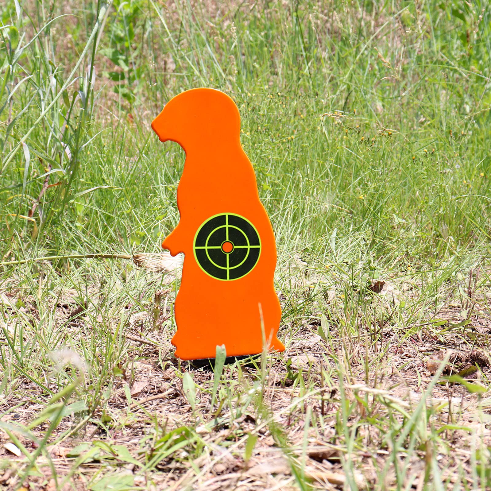 Snapklik.com : Highwild Resetting Target, Rated For .22 Rimfire - Large ...