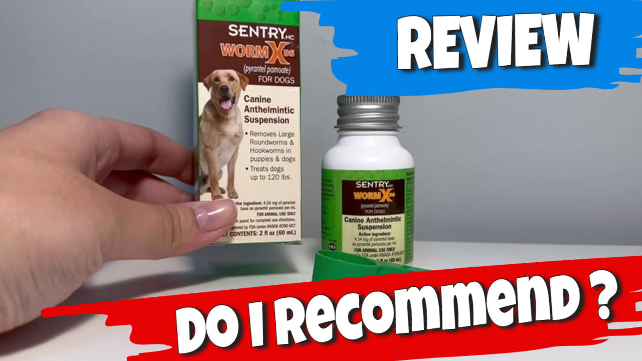 Watch Sentry WormX De-Wormer - REVIEW on Amazon Live