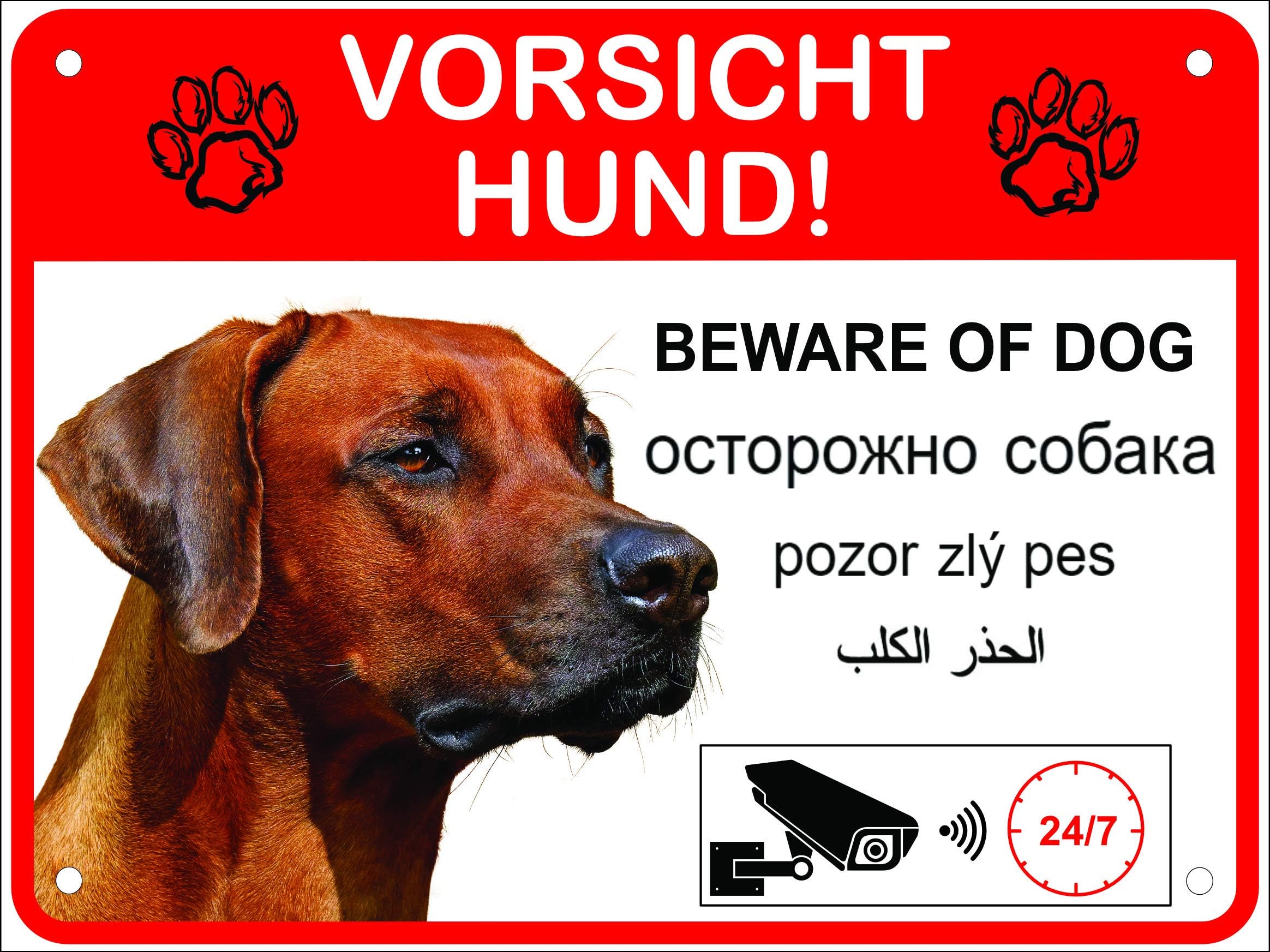 LUGUNO Hundeschilder Warnung 5-sprachig Vorsicht Hund Schild Alu ...