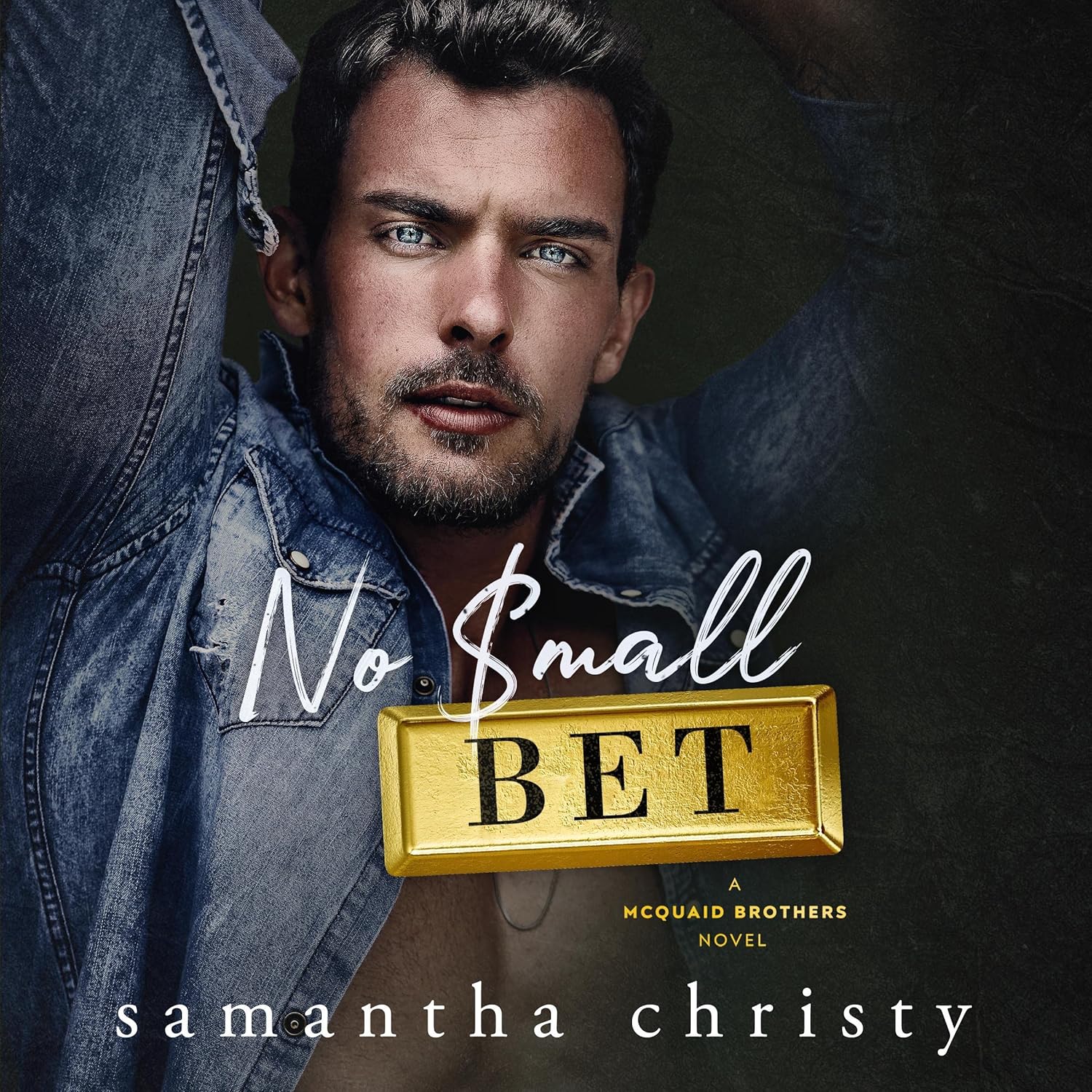 Amazon.com: No Small Bet: A McQuaid Brothers Novel (Audible Audio ...