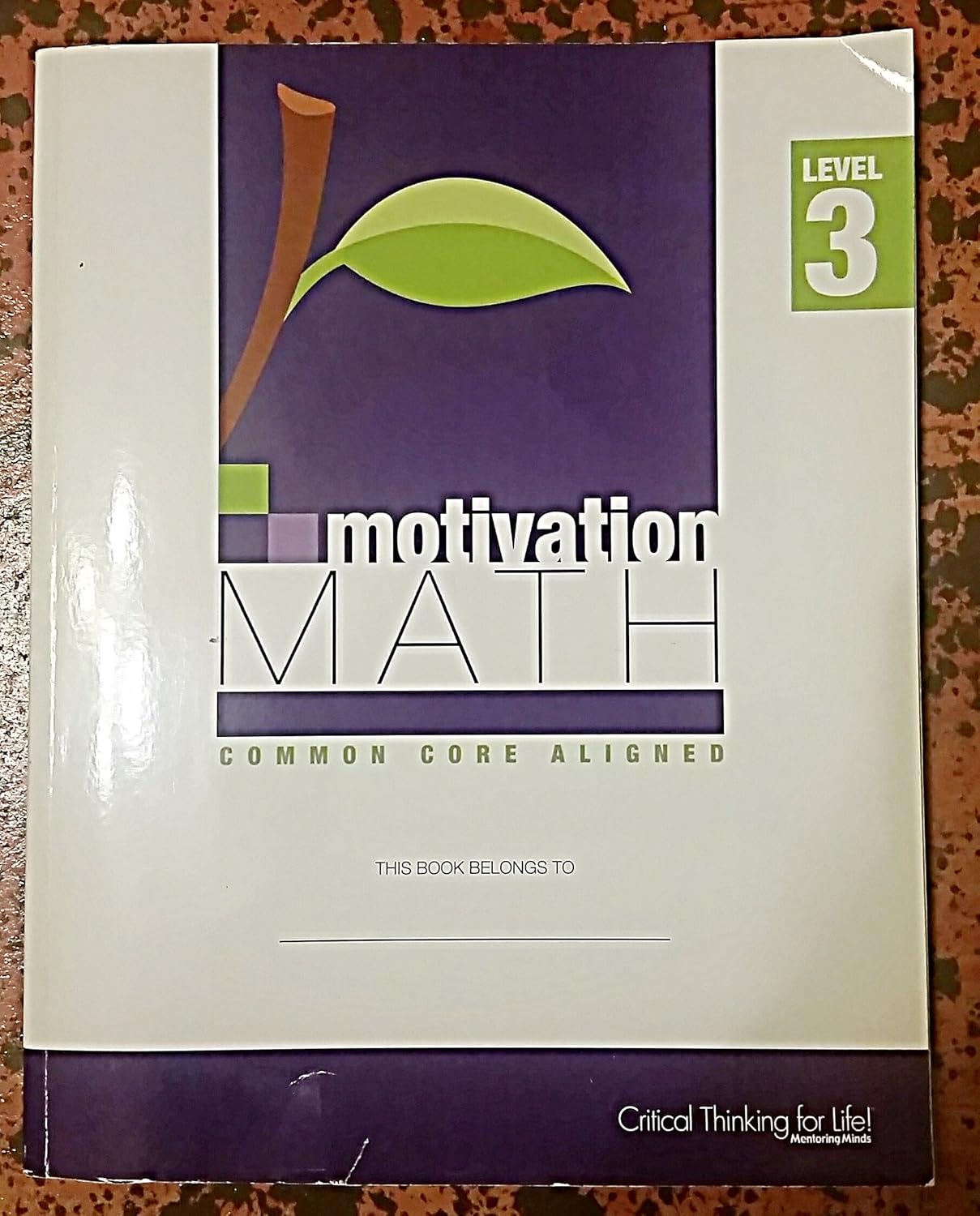 Amazon.com: Motivation Math Common Core Aligned Level 3: 9781935123705 ...