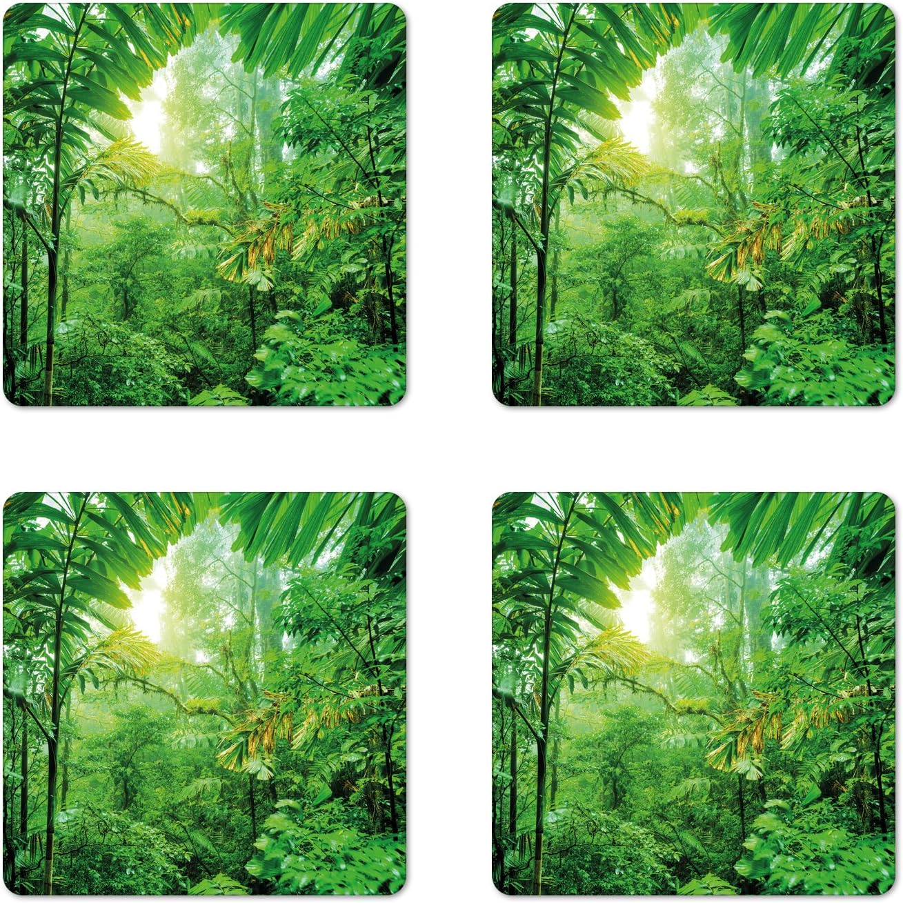 Amazon.com: Lunarable Nature Coaster Set of 4, Fresh Green Rainforest ...