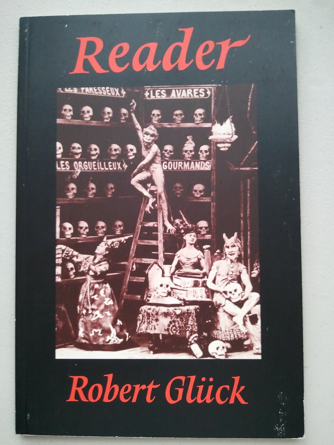 Reader: Gluck, Robert: 9780932499660: Amazon.com: Books