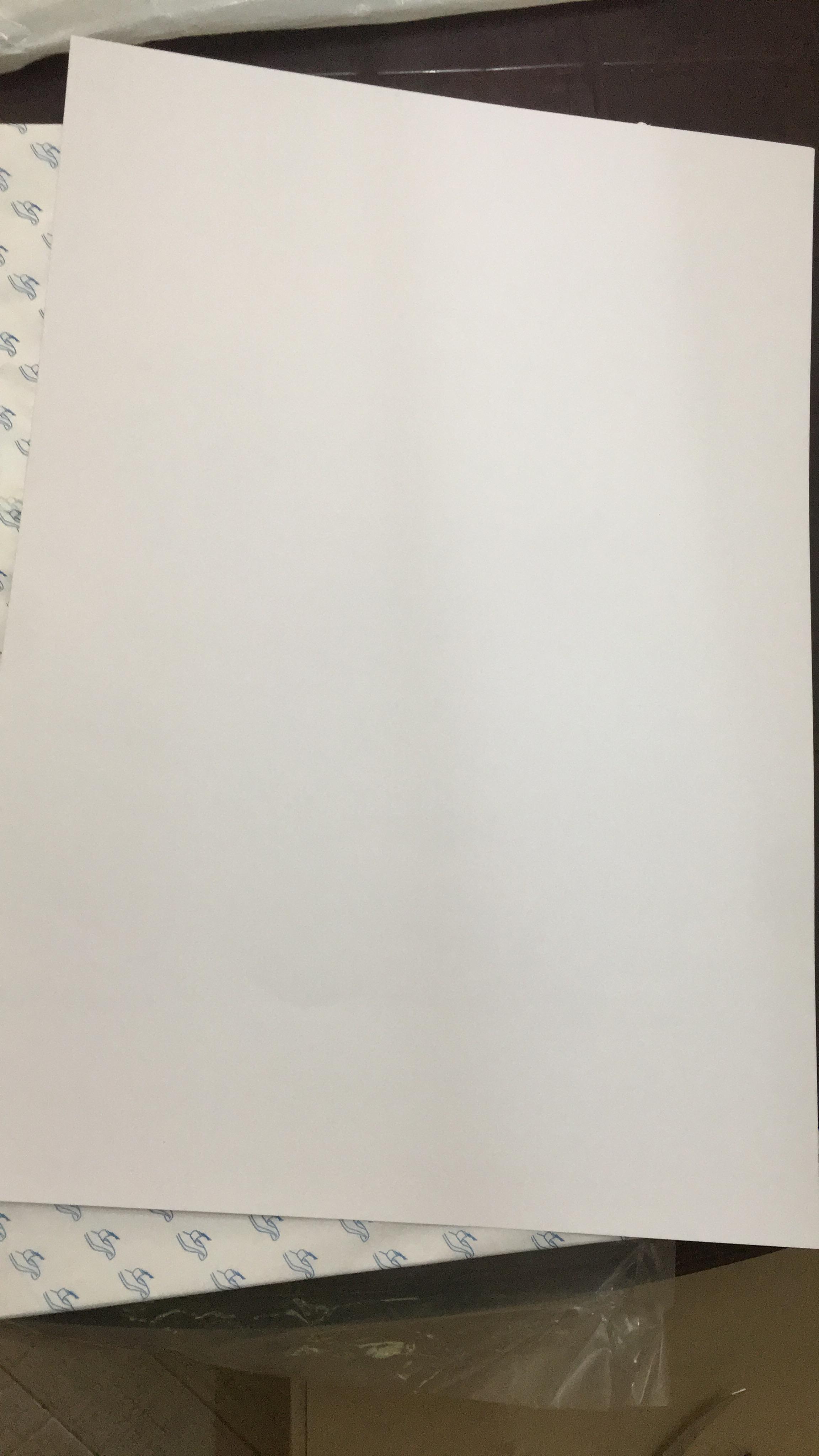 PG Creations Ivory Sheets A2 for Drawing, 16.5x23.4 Inch, A2 Size ...