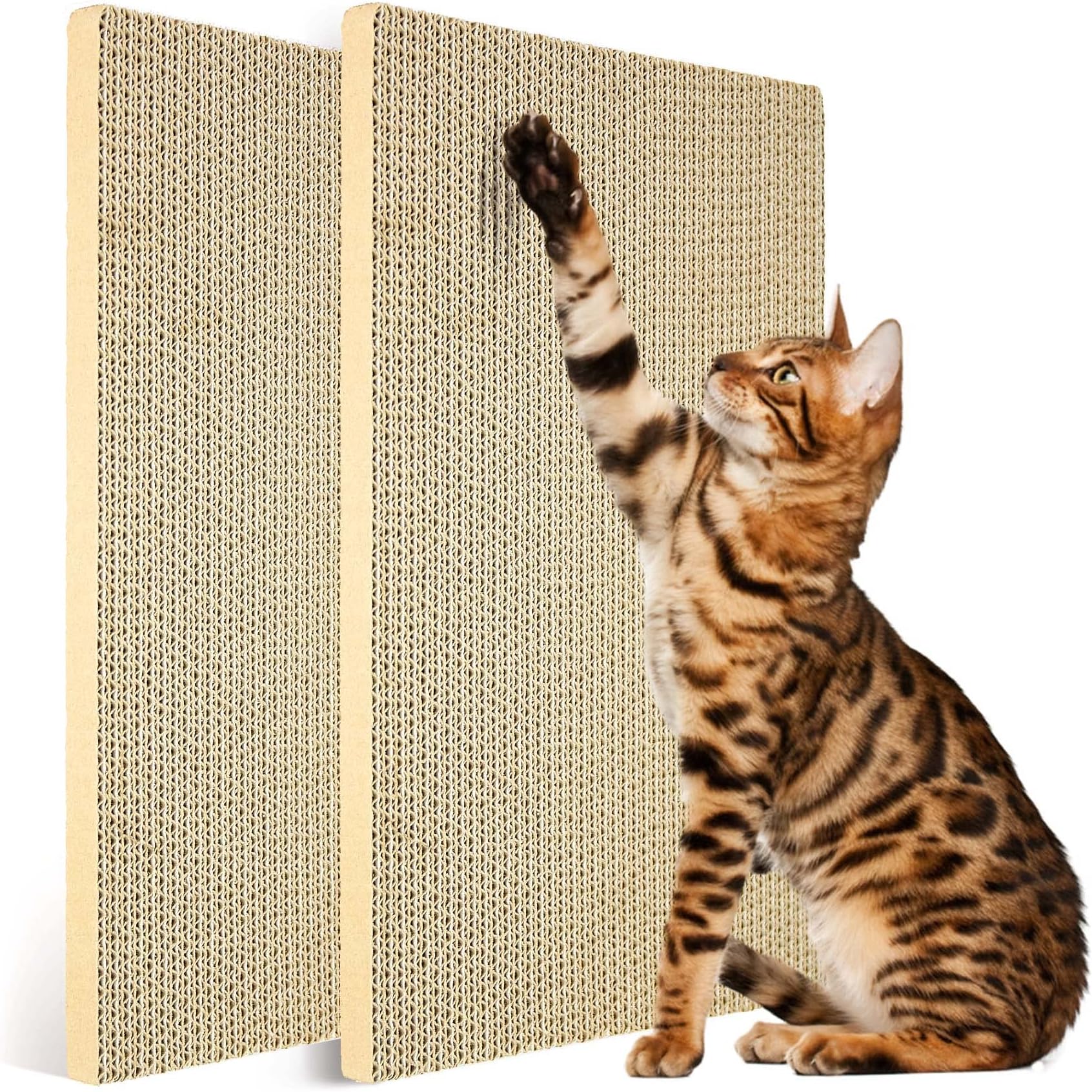 Amazon.com : MAYGOZIY 2 Pieces Cat Scratching Posts Replace Grabbing ...