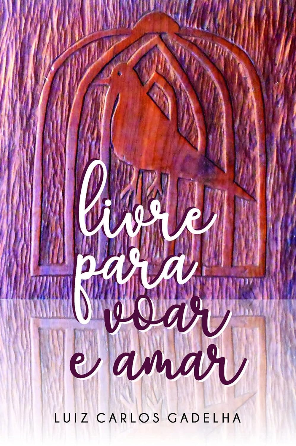 Amazon.fr - livre para voar e amar - GADELHA - Livres