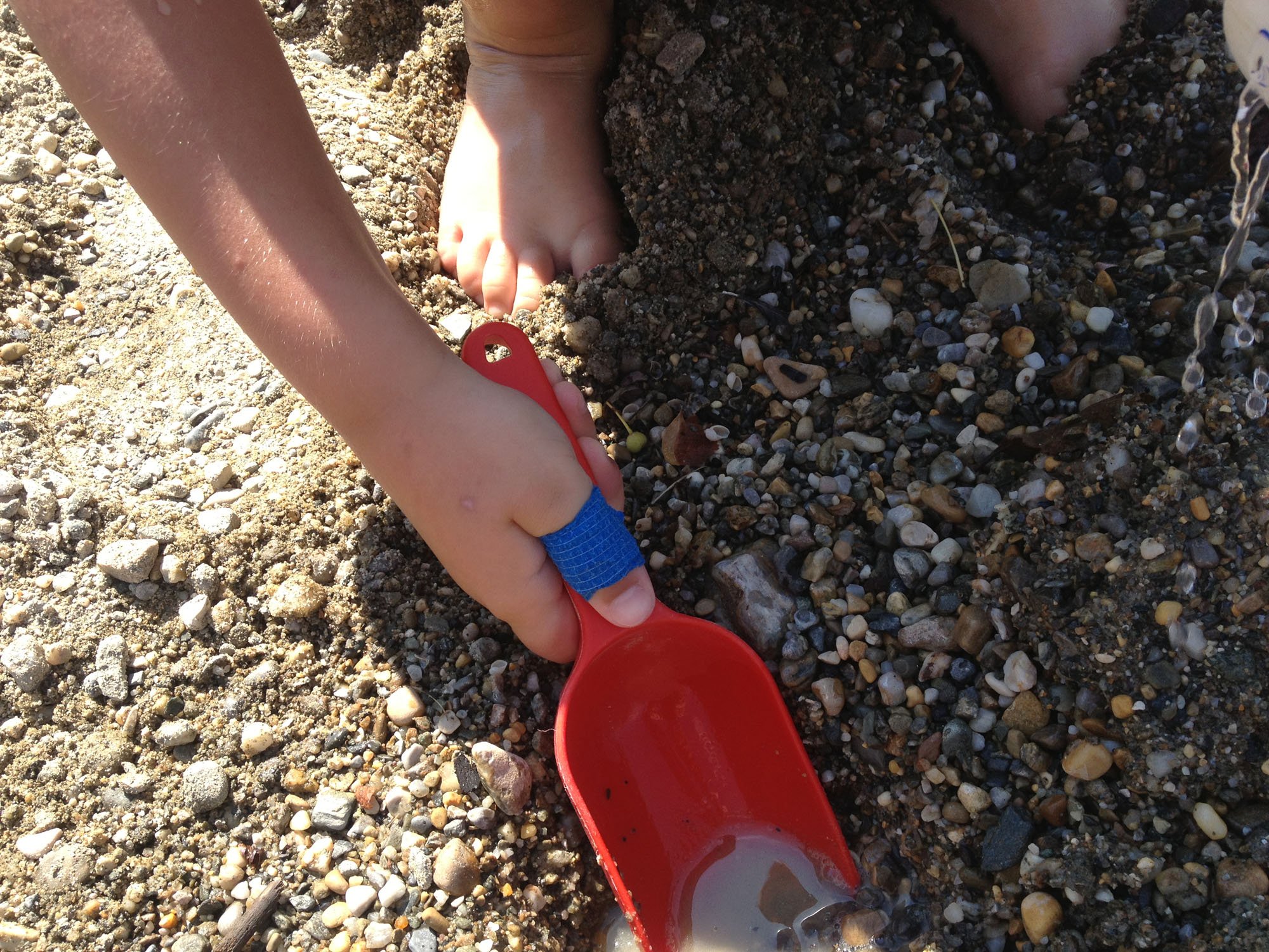 Buy Happyplast First Aid Kit with Non-Adhesive Plaster Roll & Cohesive ...