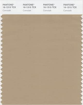 PANTONE Cartão de amostra colorida Smart 16-1315X, Cornstalk : Amazon ...