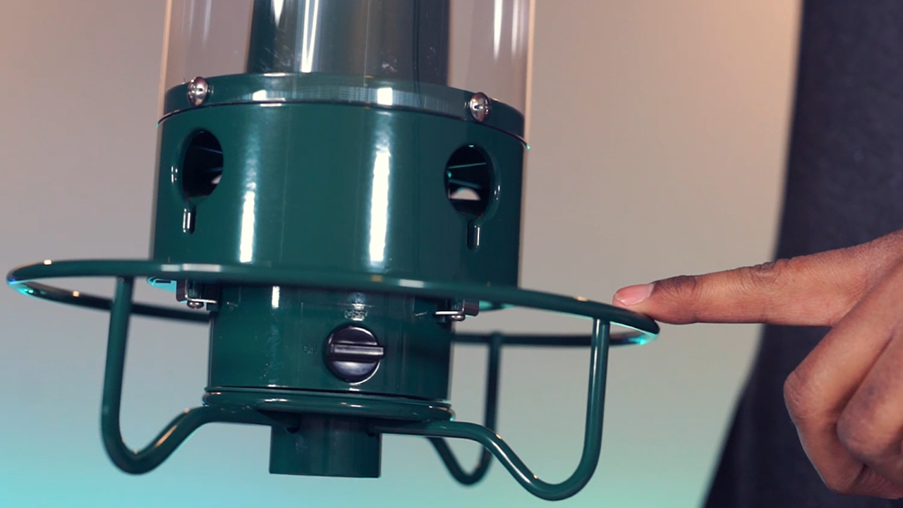 Watch An Overview - Droll Yankees Flipper Wild Bird Feeder on Amazon Live