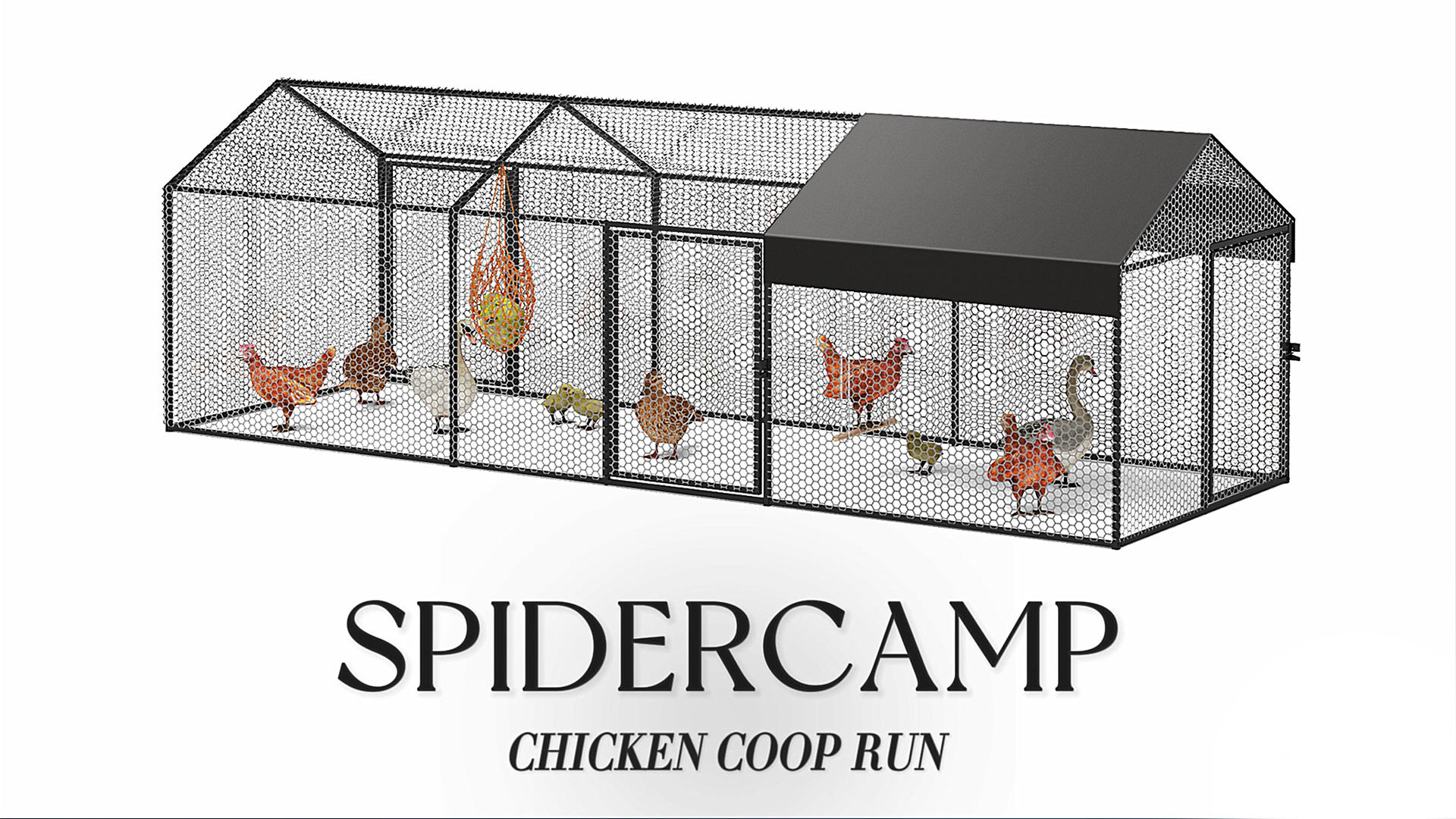 Watch chicken coop chicken run Assembly video on Amazon Live