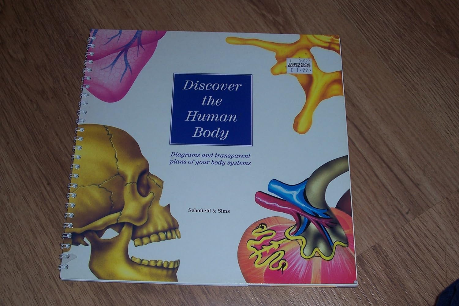 Discover the Human Body: Amazon.co.uk: 9780721750293: Books