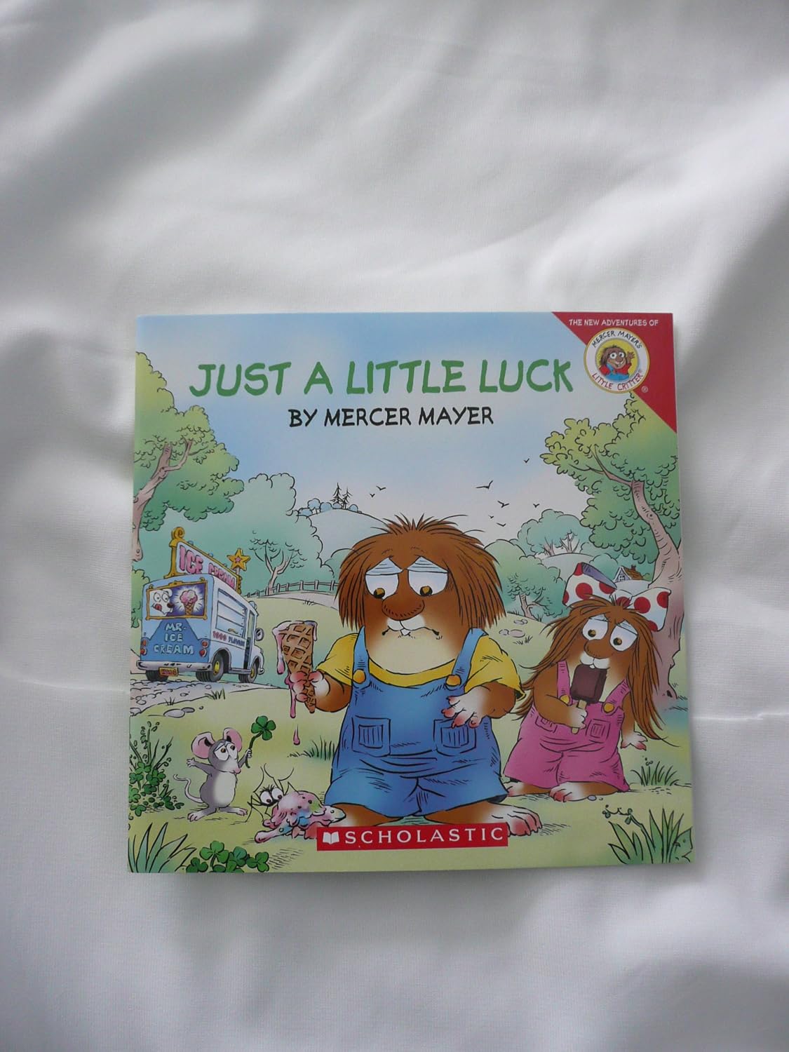 Just a Little Luck: Mayer, Mercer: 9780545449052: Amazon.com: Books