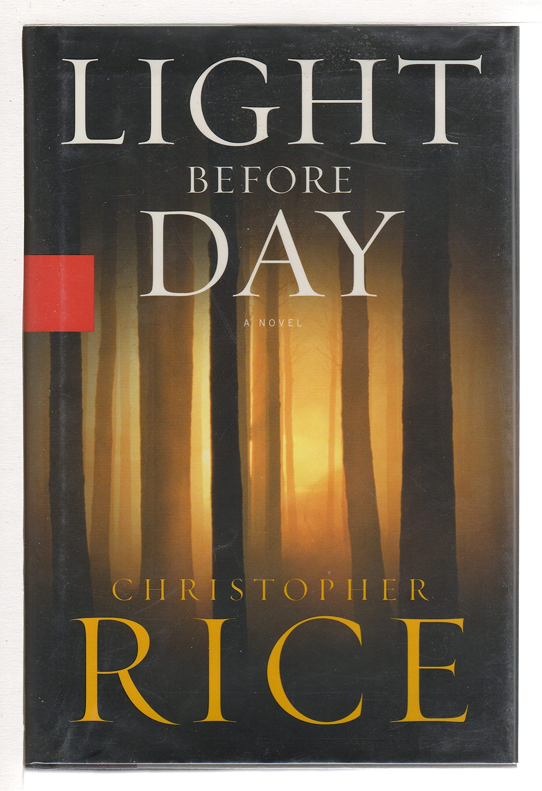 Amazon.com: Light Before Day: 9781401300395: Christopher Rice: Books
