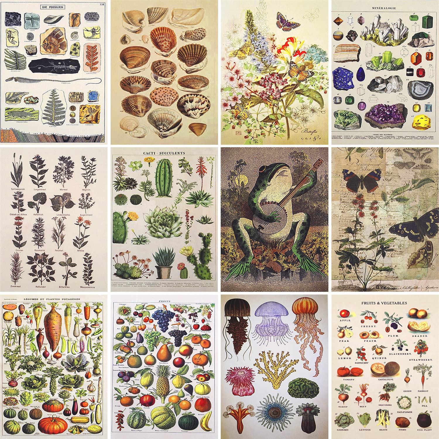 Vintage Wall Collage Kit Aesthetic Pictures Cottagecore Botanical Wall ...