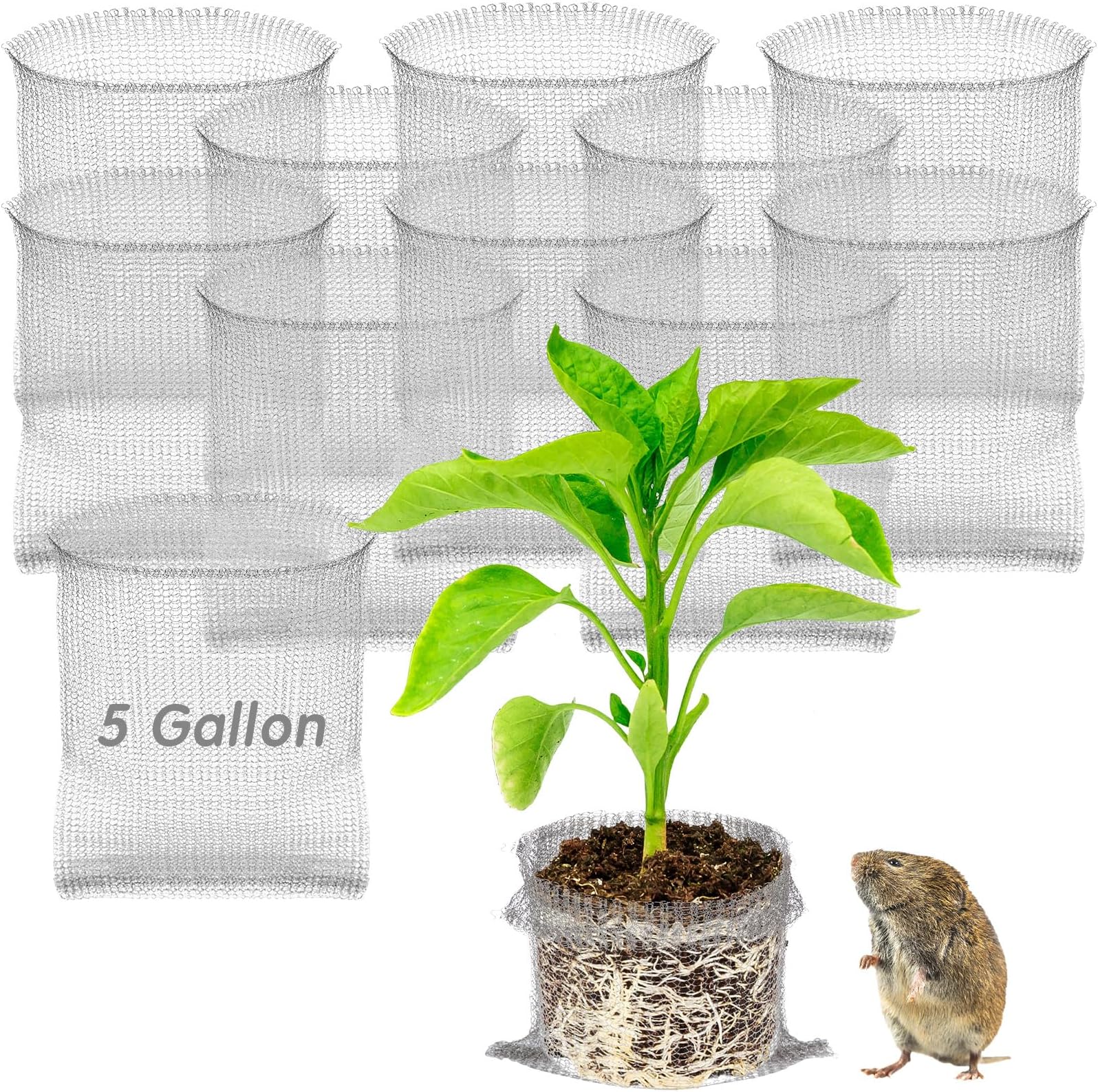 Amazon.com: SEEWEY 12 Pcs, 5 Gallon Spring Plant Root Guard Baskets ...