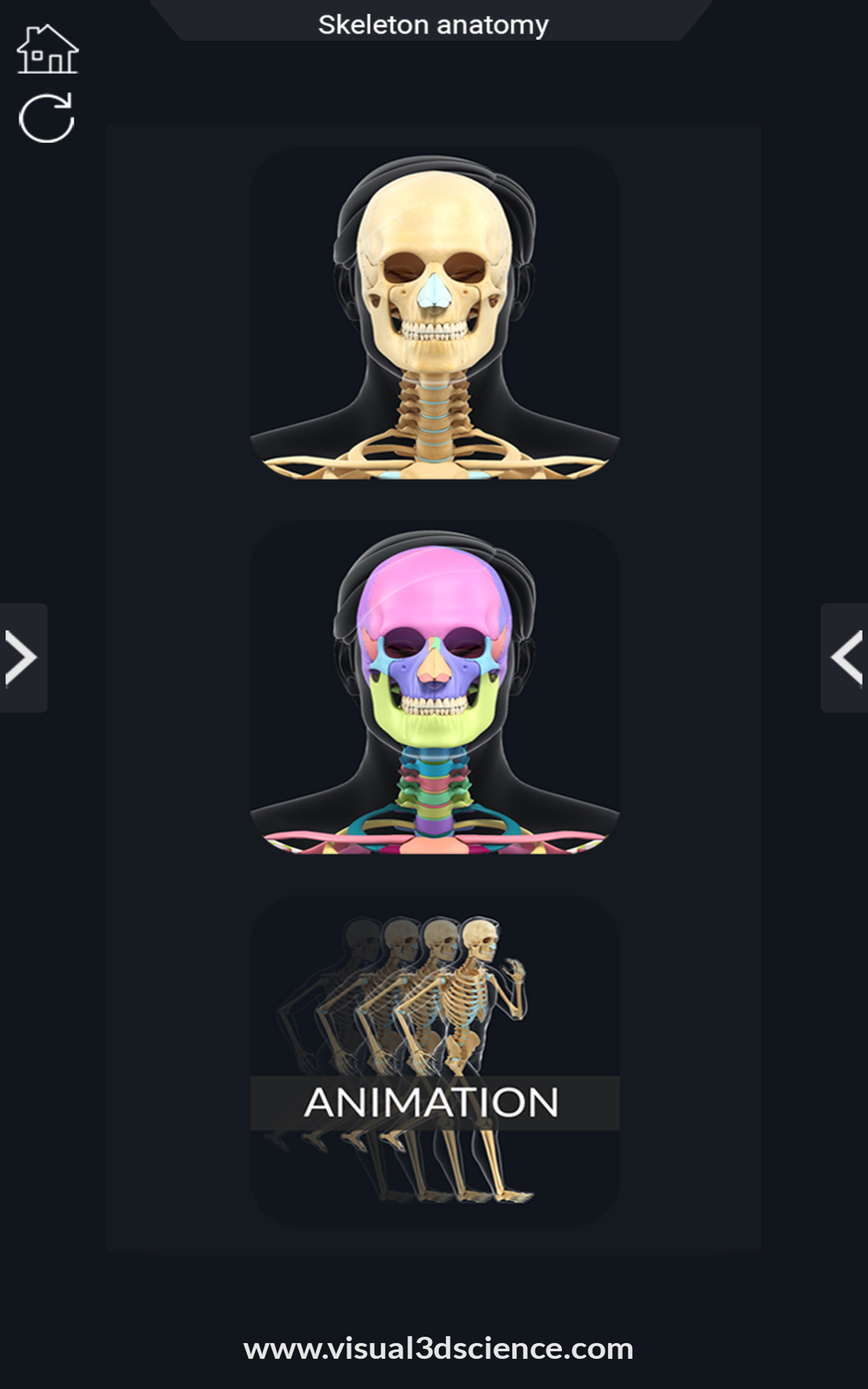 My Skeleton Anatomy - App on Amazon Appstore