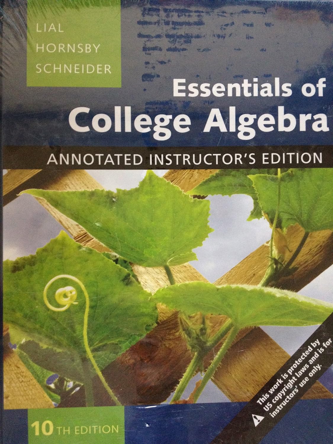 Essentials Of College Algebra (Annotated Instructors Edition): Lial ...
