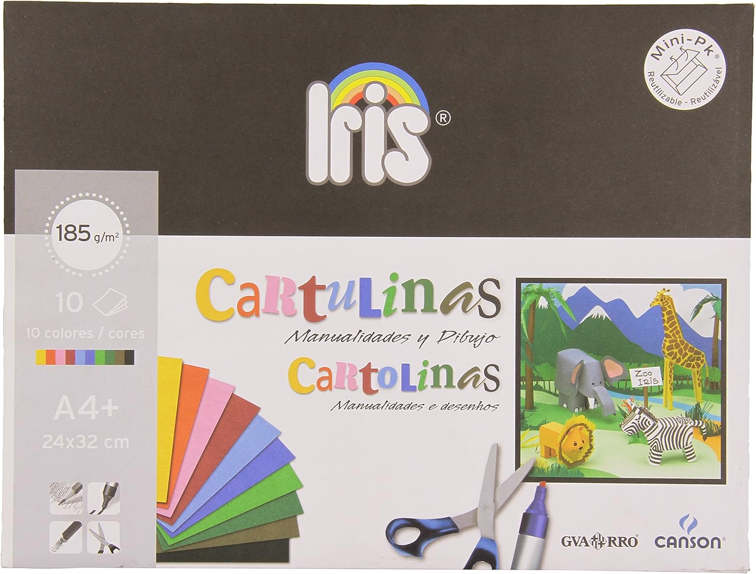 Amazon.com : Canson 200406282 – Pack of 10 Sheets of Card Stock A4+185 ...