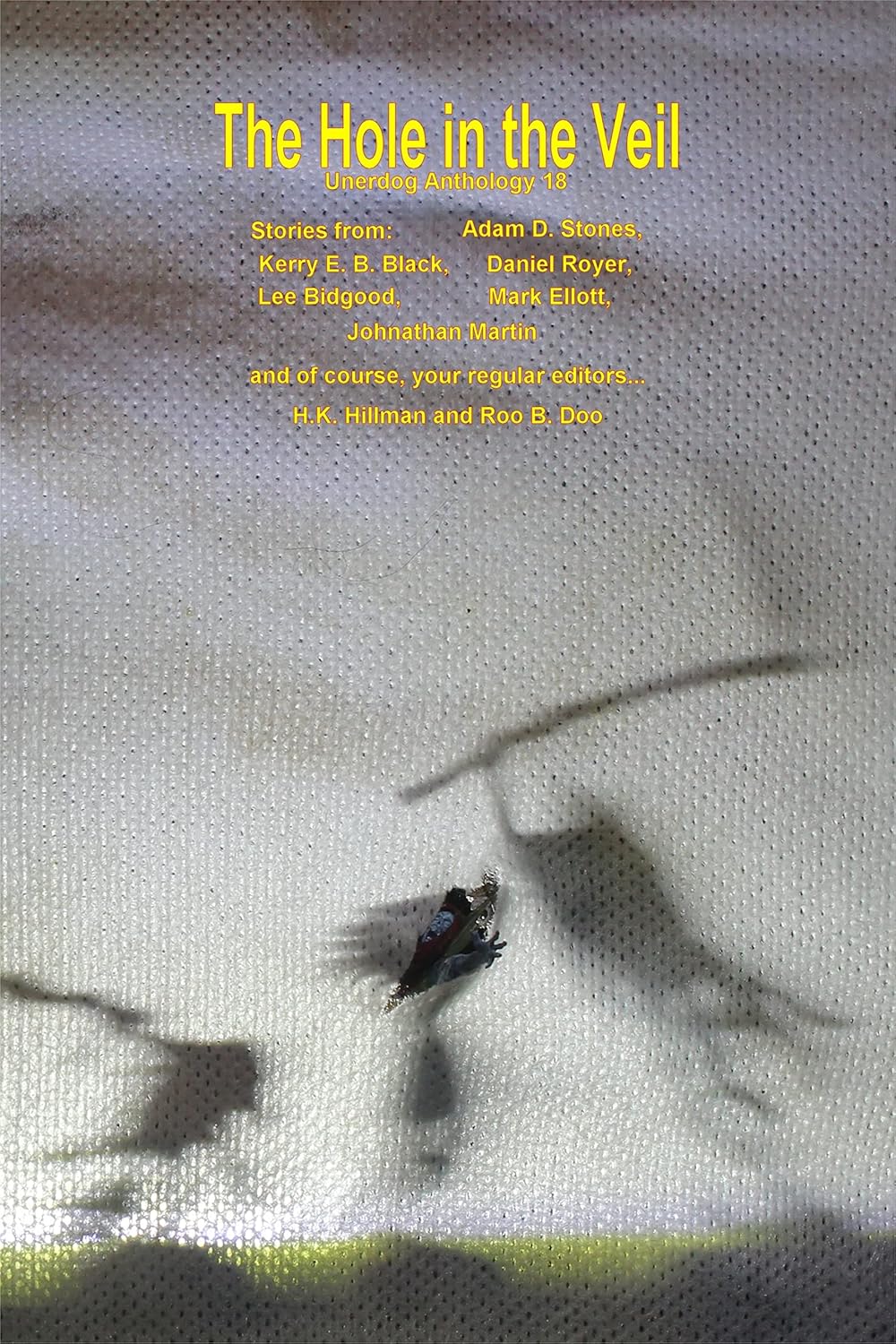 Amazon.com: The Hole in the Veil: Underdog Anthology 18 eBook : Hillman ...