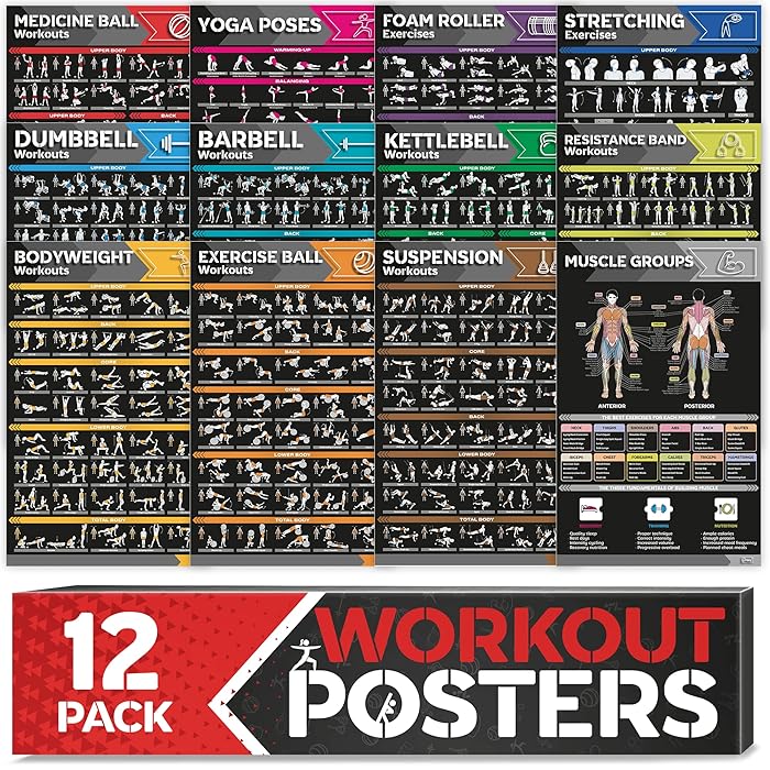 Buy [12-PACK] Laminated Large Workout Poster Set - Perfect Workout ...