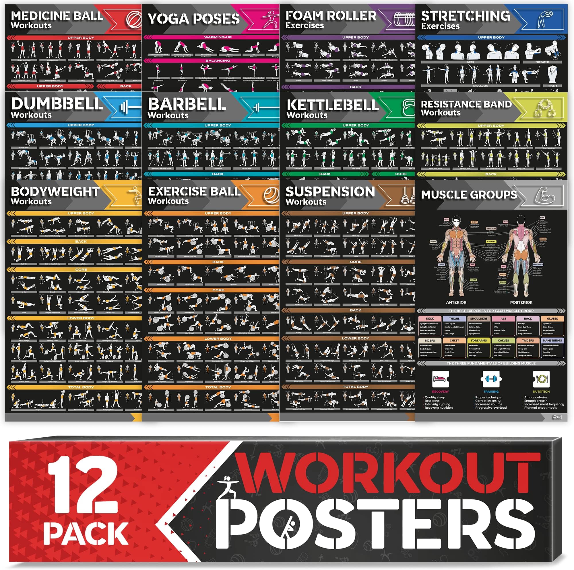 Amazon.com: QUICKFIT Bodyweight Workout Exercise Poster - Body Weight ...