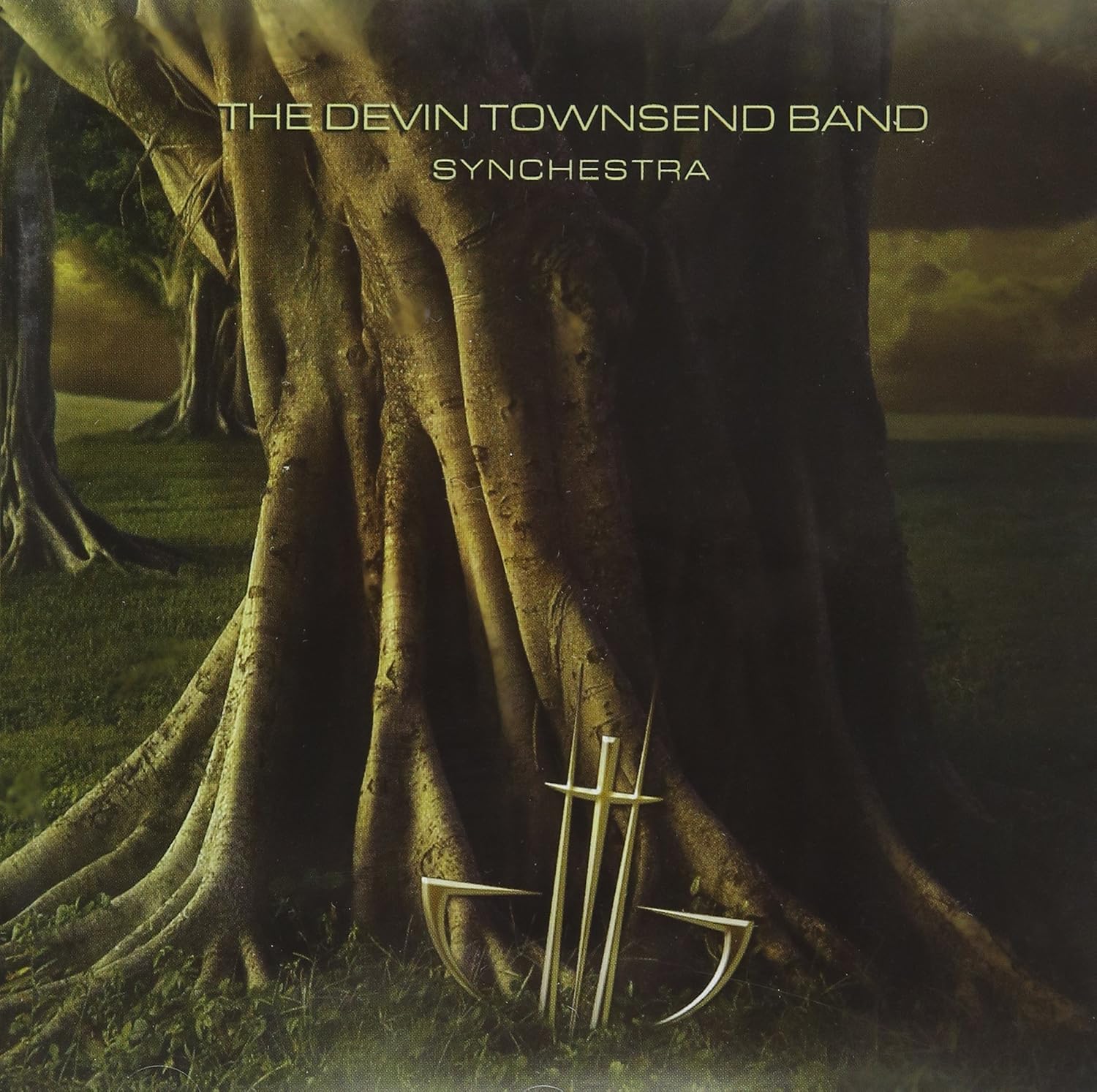 DEVIN TOWNSEND - SYNCHESTRA: Amazon.co.uk: CDs & Vinyl