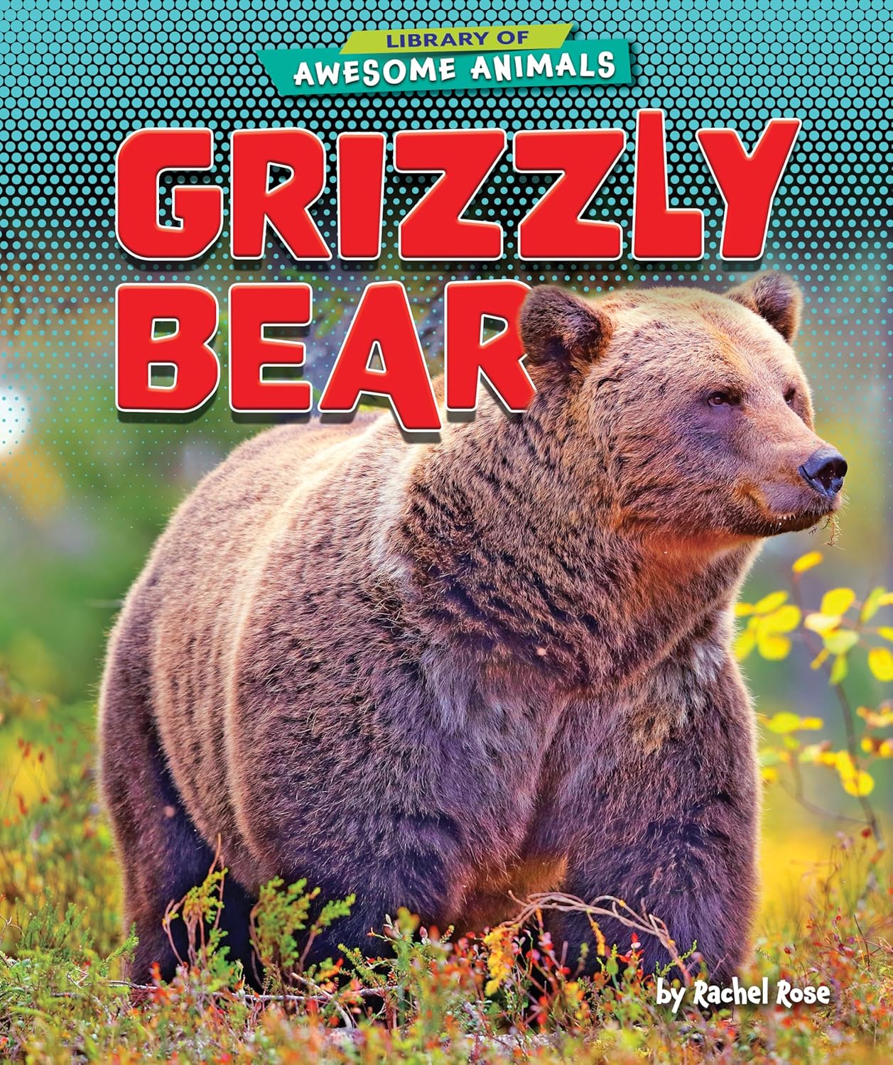 Grizzly Bear - Non-Fiction Reading for Grade 3, Developmental Learning ...