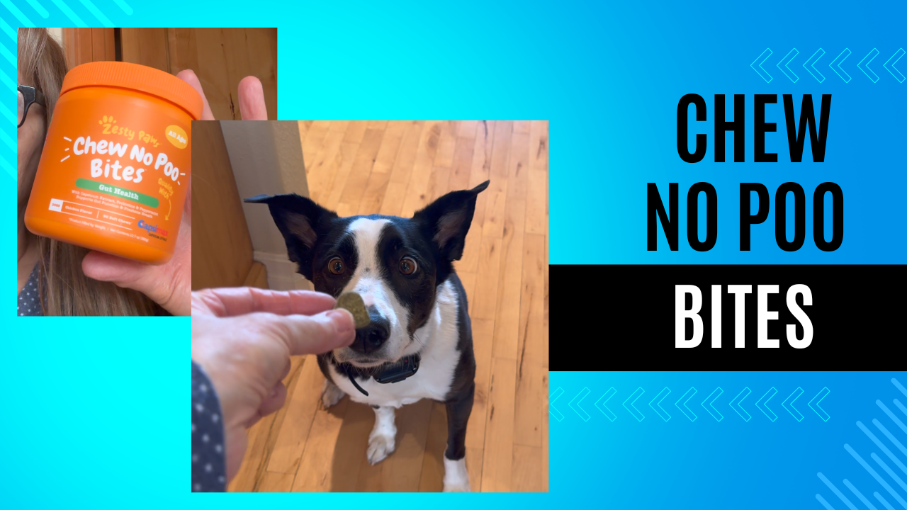 Watch So Happy We Tried These NO CHEW POO Bites on Amazon Live