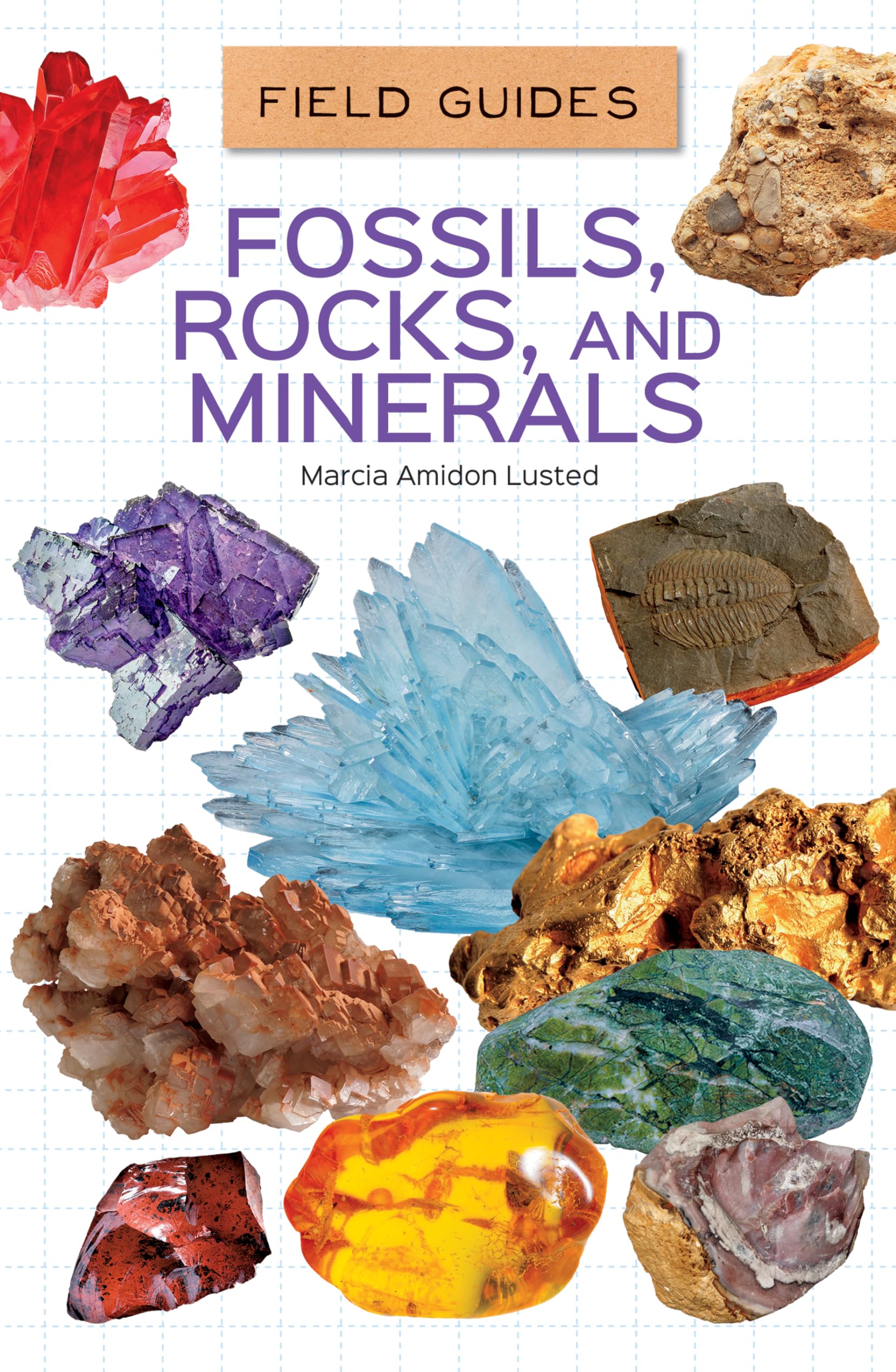 Fossils, Rocks, and Minerals (Field Guides Set 2): Lusted, Marcia ...