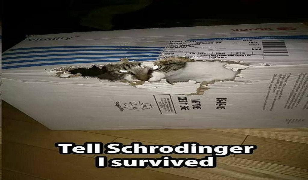 Funny Inappropriate Memes - App on Amazon Appstore