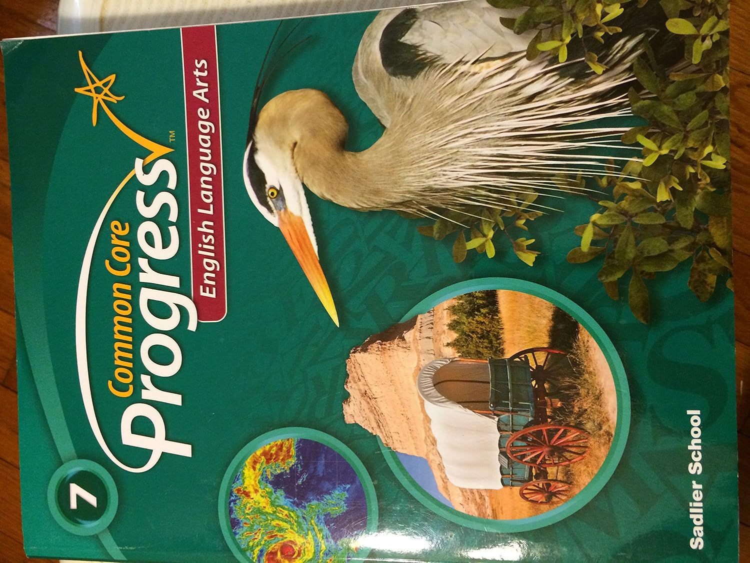 Common Core Progress English Language Arts Grade 7: Sadlier ...