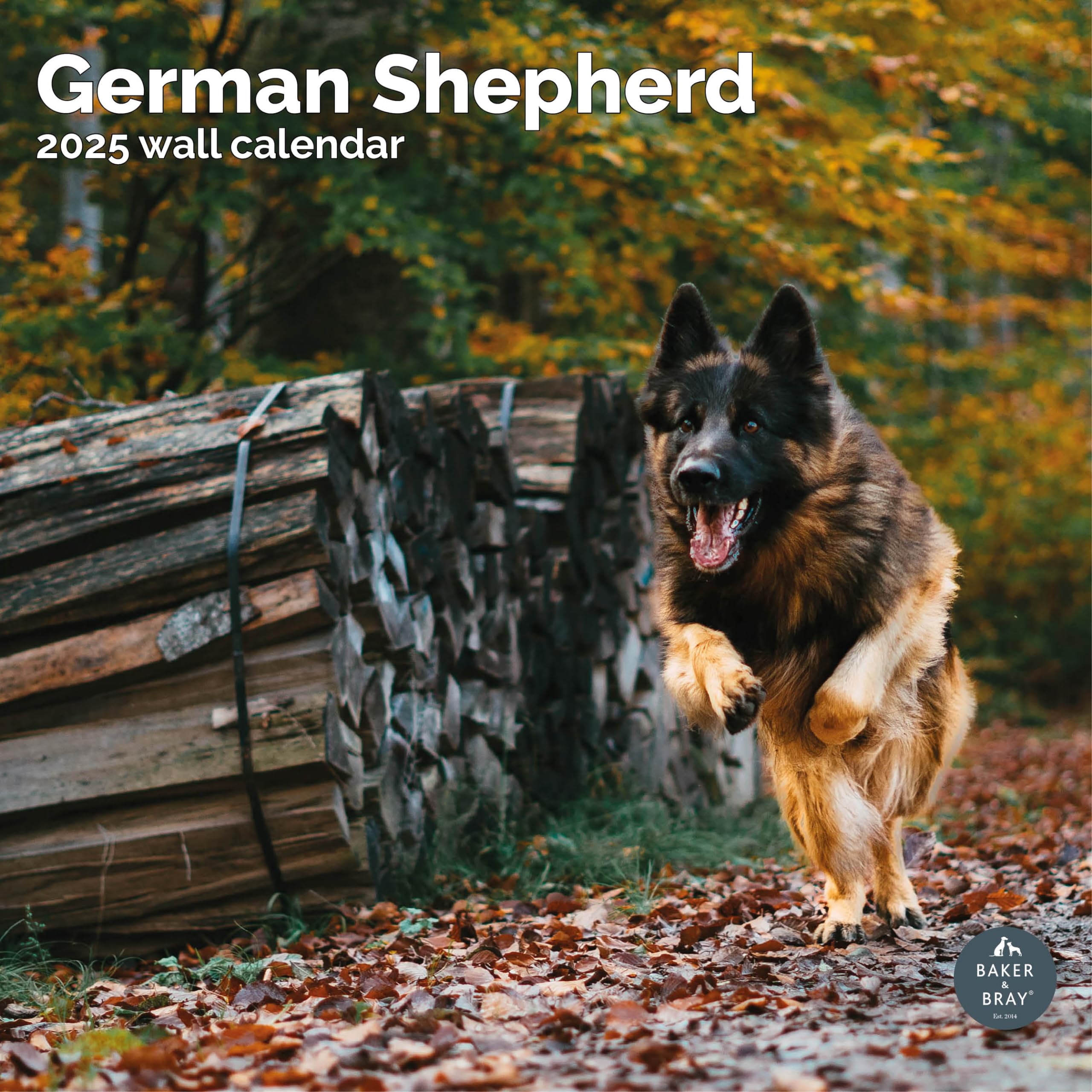 Baker and Bray German Shepherd Calendar 2025, Large Square Wall ...