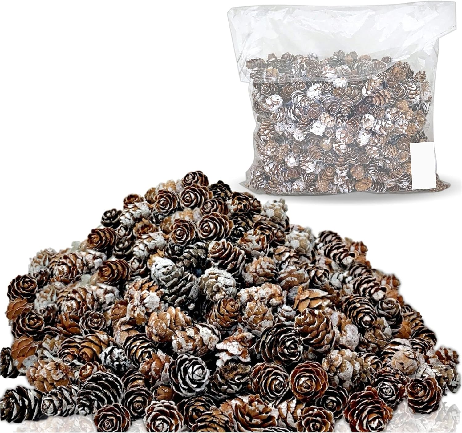 Amazon.com: BANBERRY DESIGNS Bulk Lot of White Washed Real Pinecones ...