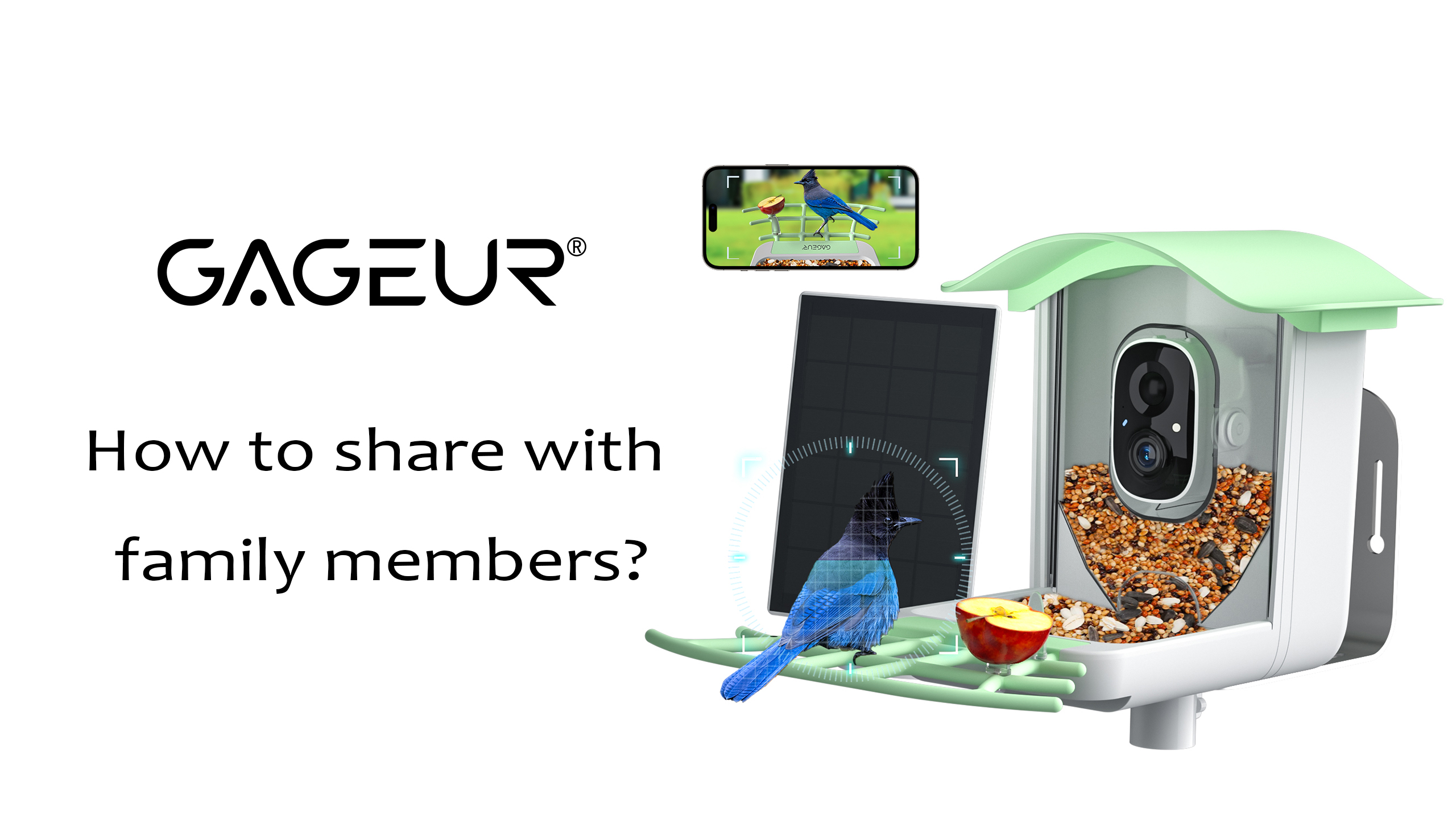 Watch How to share with family members? on Amazon Live