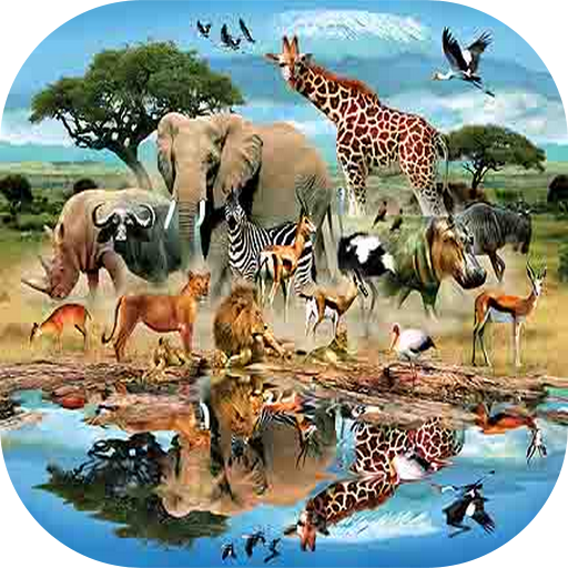 Best Animals Sounds - App on Amazon Appstore