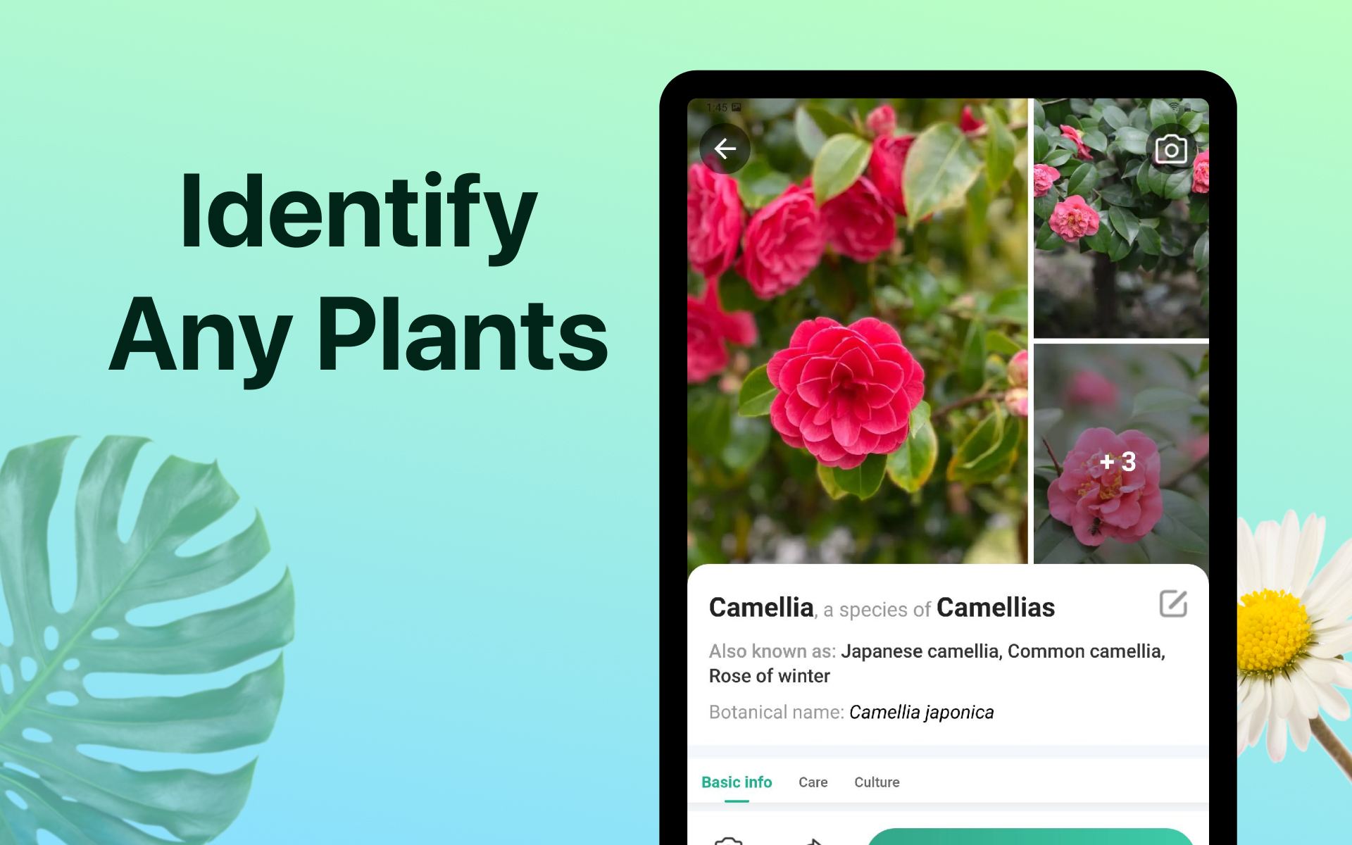 PictureThis - Plant Identifier - App on Amazon Appstore