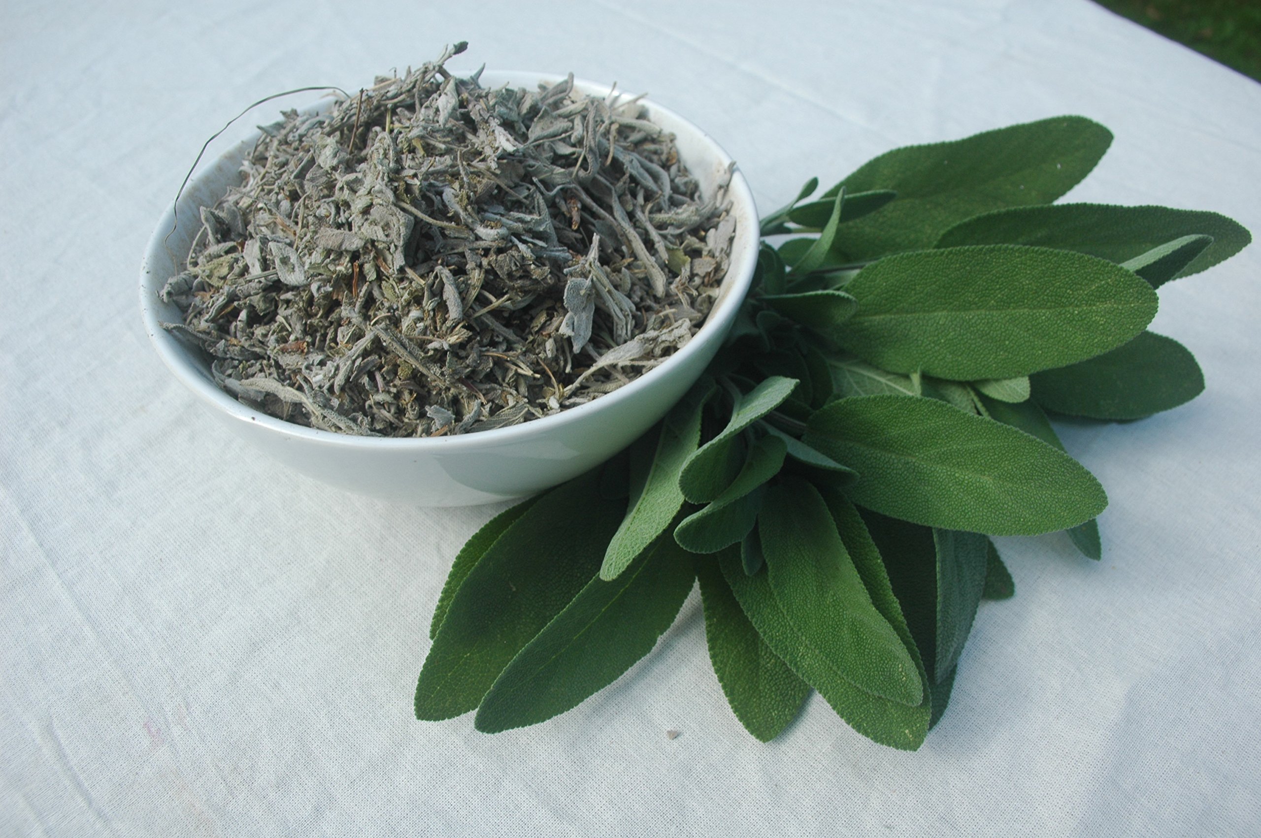 Feuille De Sauge