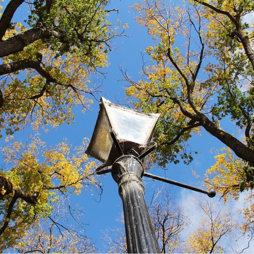 Leedia - App on Amazon Appstore