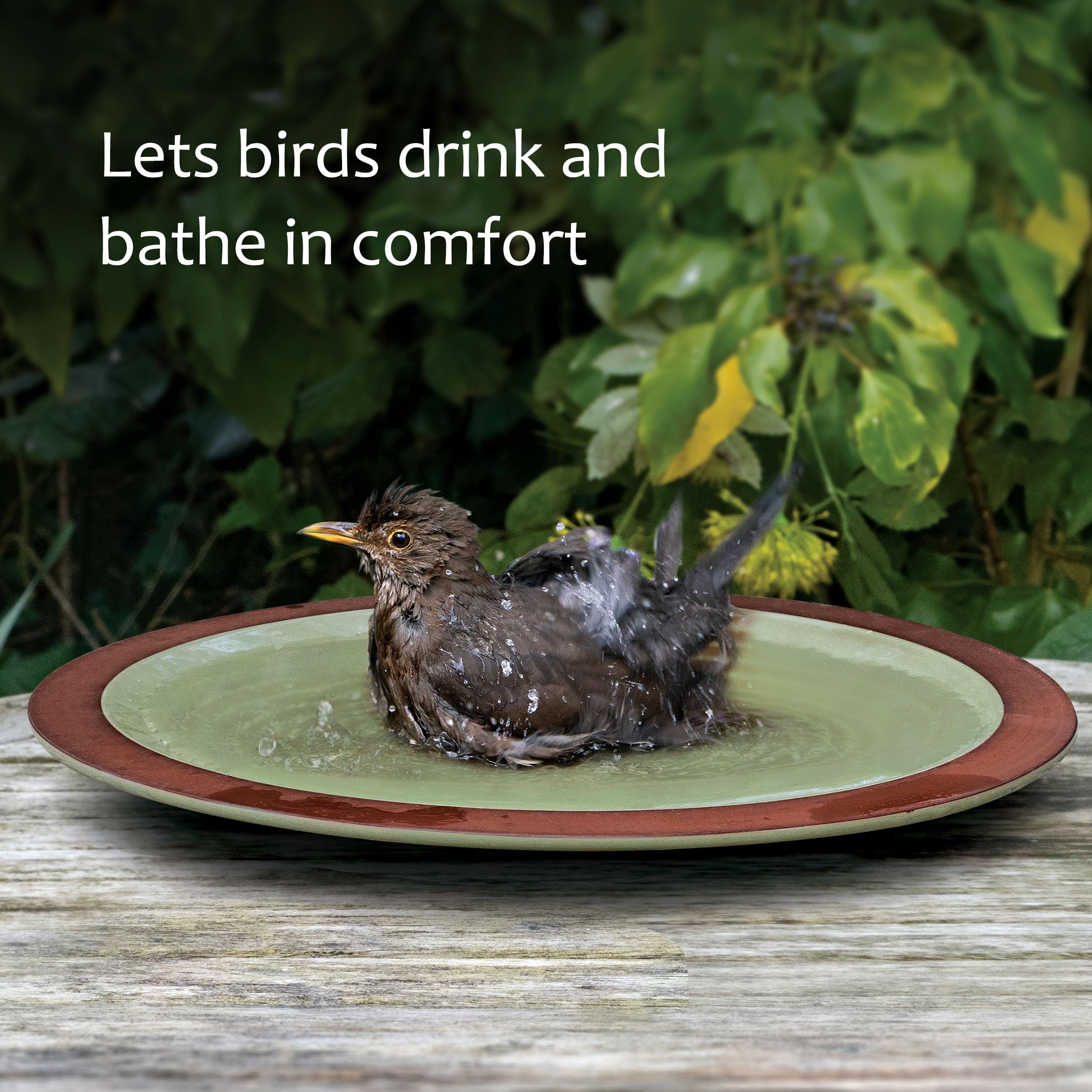 Bird Bath Quotes