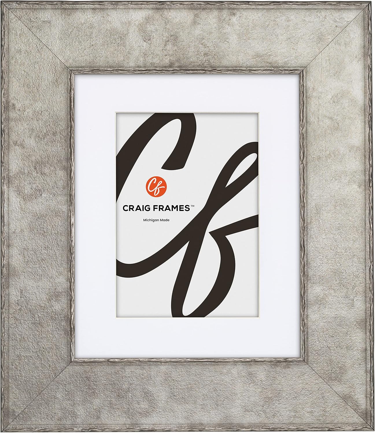 Amazon.com - Craig Frames Starlight, 16x20 Picture Frame Matted for an ...