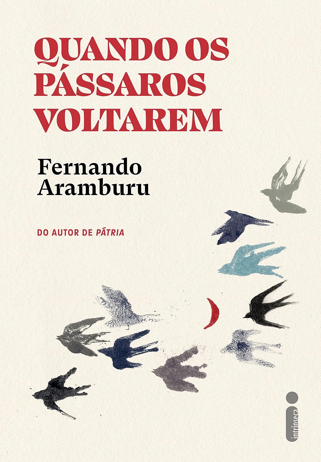 Quando os pássaros voltarem eBook : Aramburu, Fernando, Roitman, Ari ...