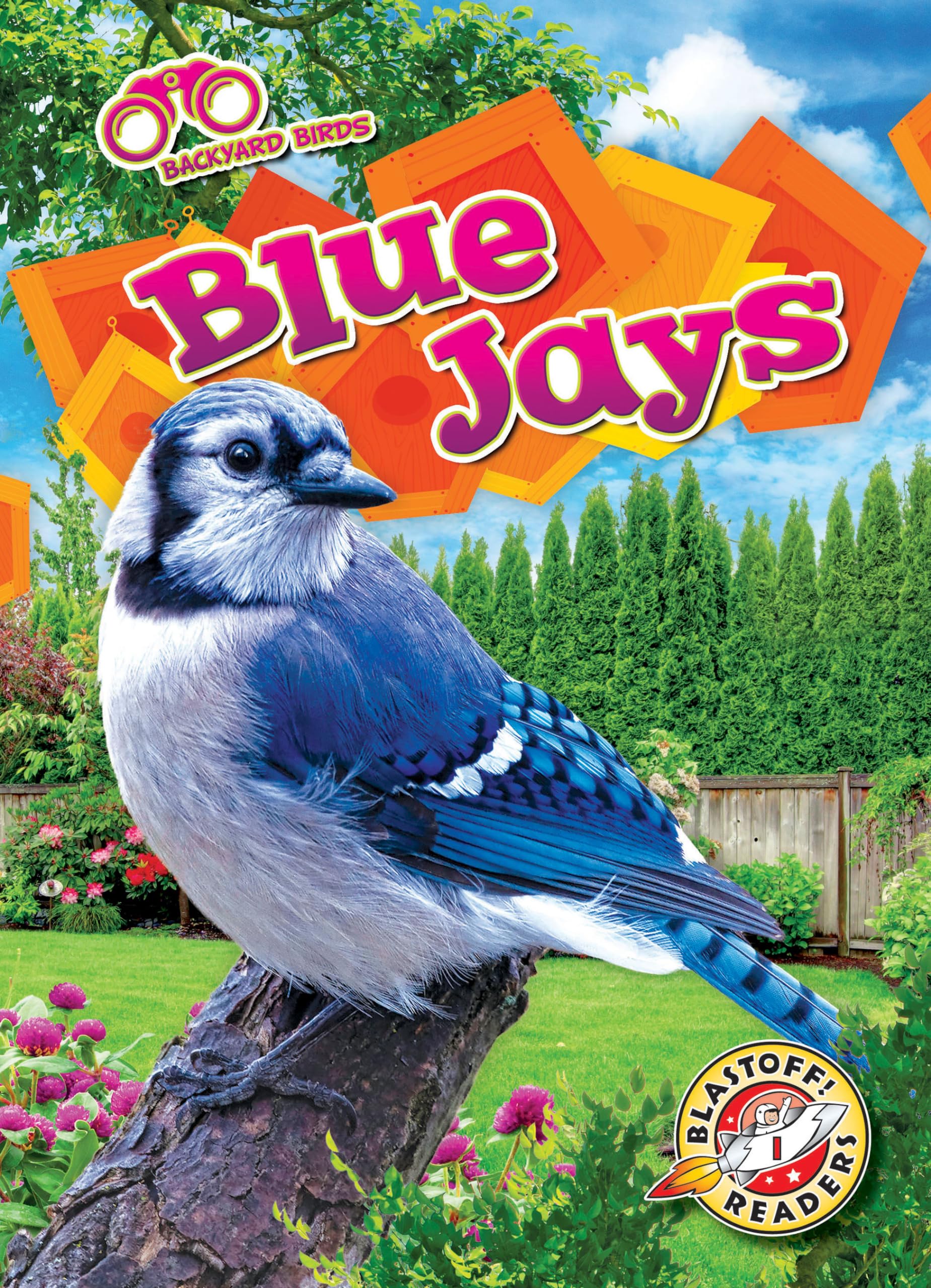 Blue Jays (Backyard Birds): Elizabeth Neuenfeldt: 9781644874905: Amazon ...