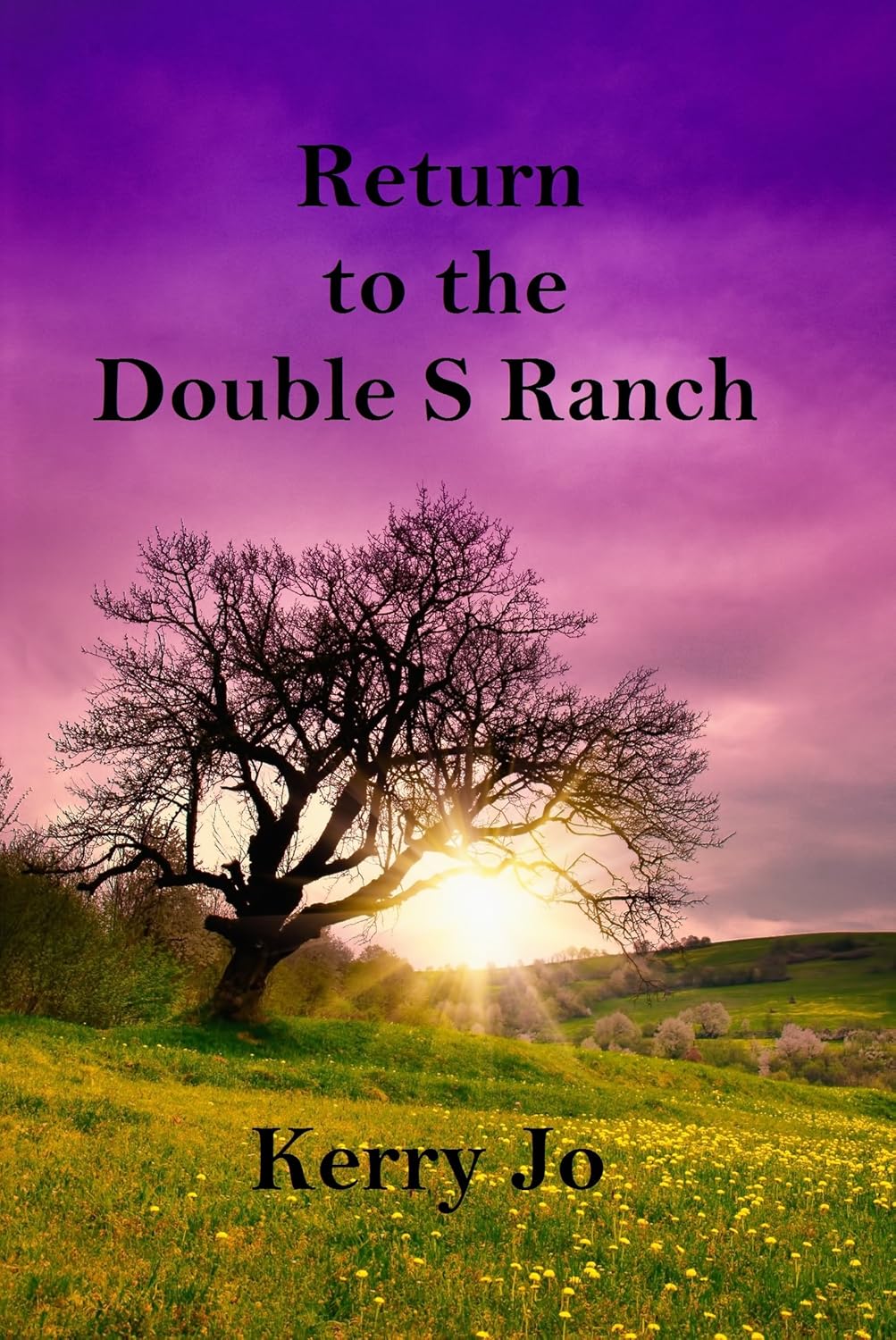 Return to the Double S Ranch (Mystery on the Double S Ranch Book 2 ...