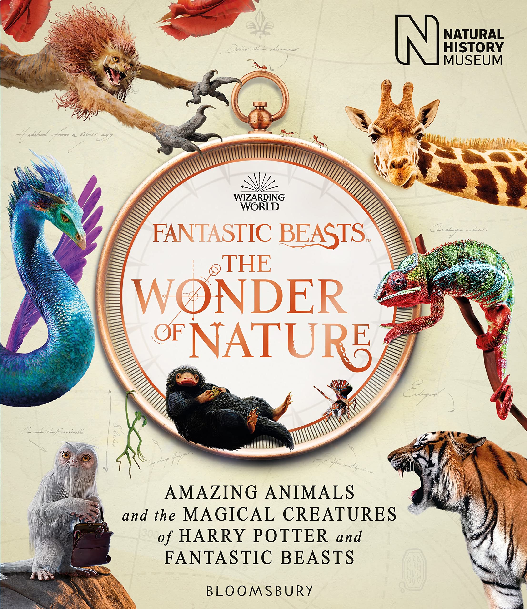 Fantastic Beasts: The Wonder of Nature: Amazing Animals and the Magical ...