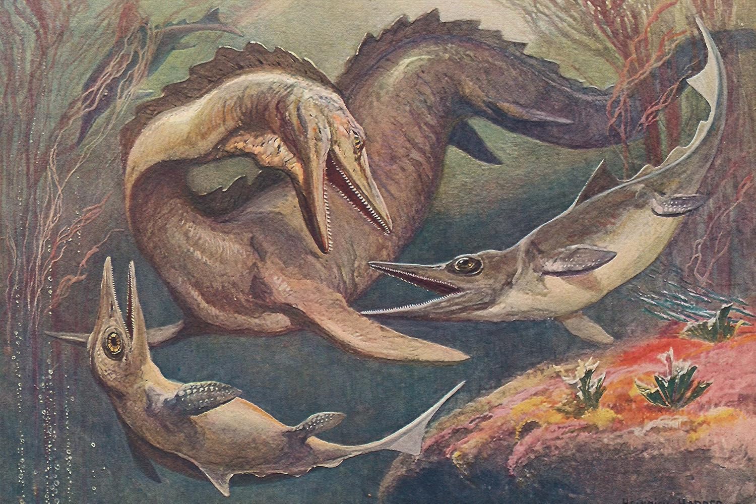 Amazon.com: History Galore 12"x18" Gallery Poster, mosasaurus ...