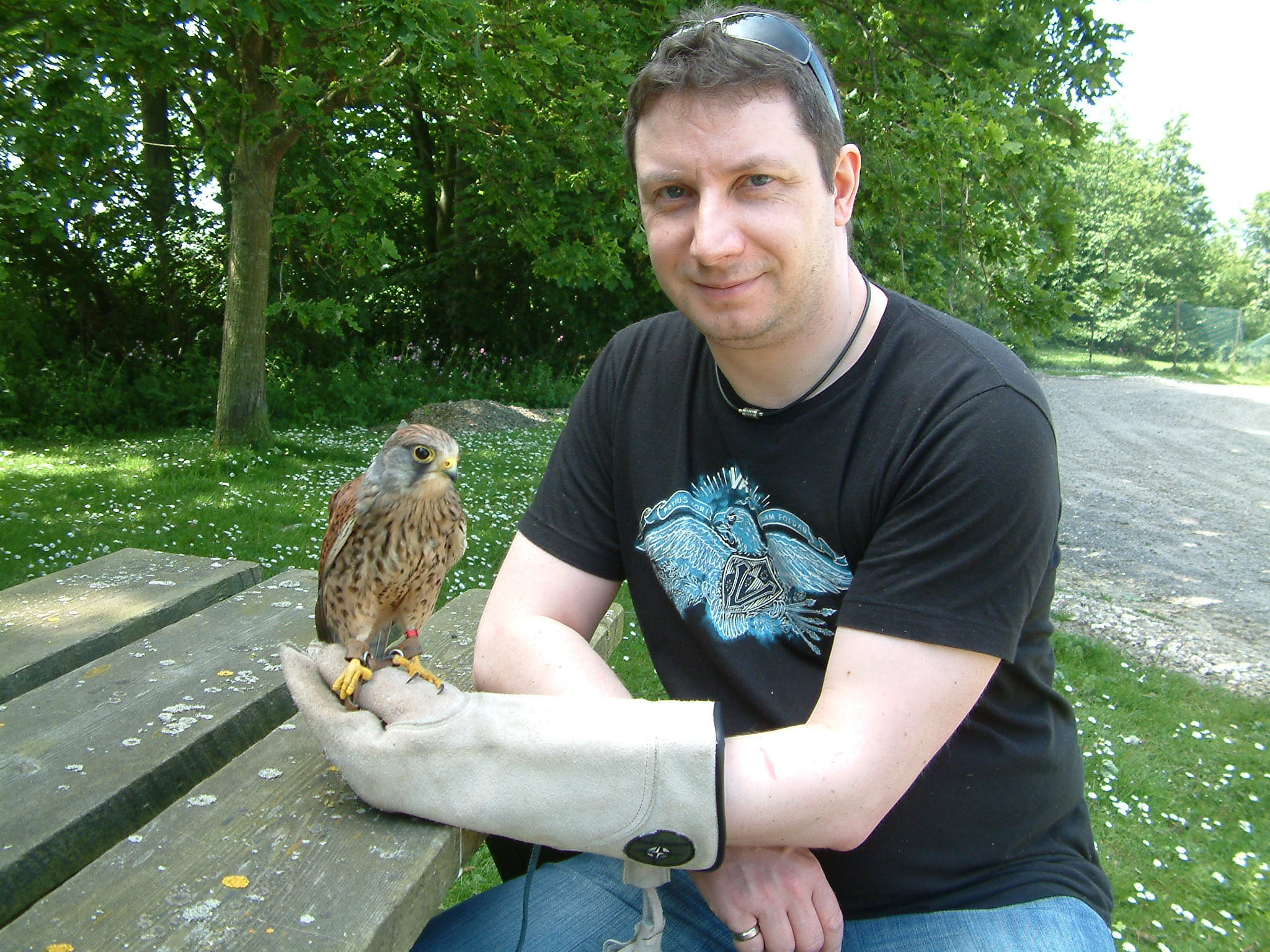 Amazon.com: Steven Cook: books, biography, latest update