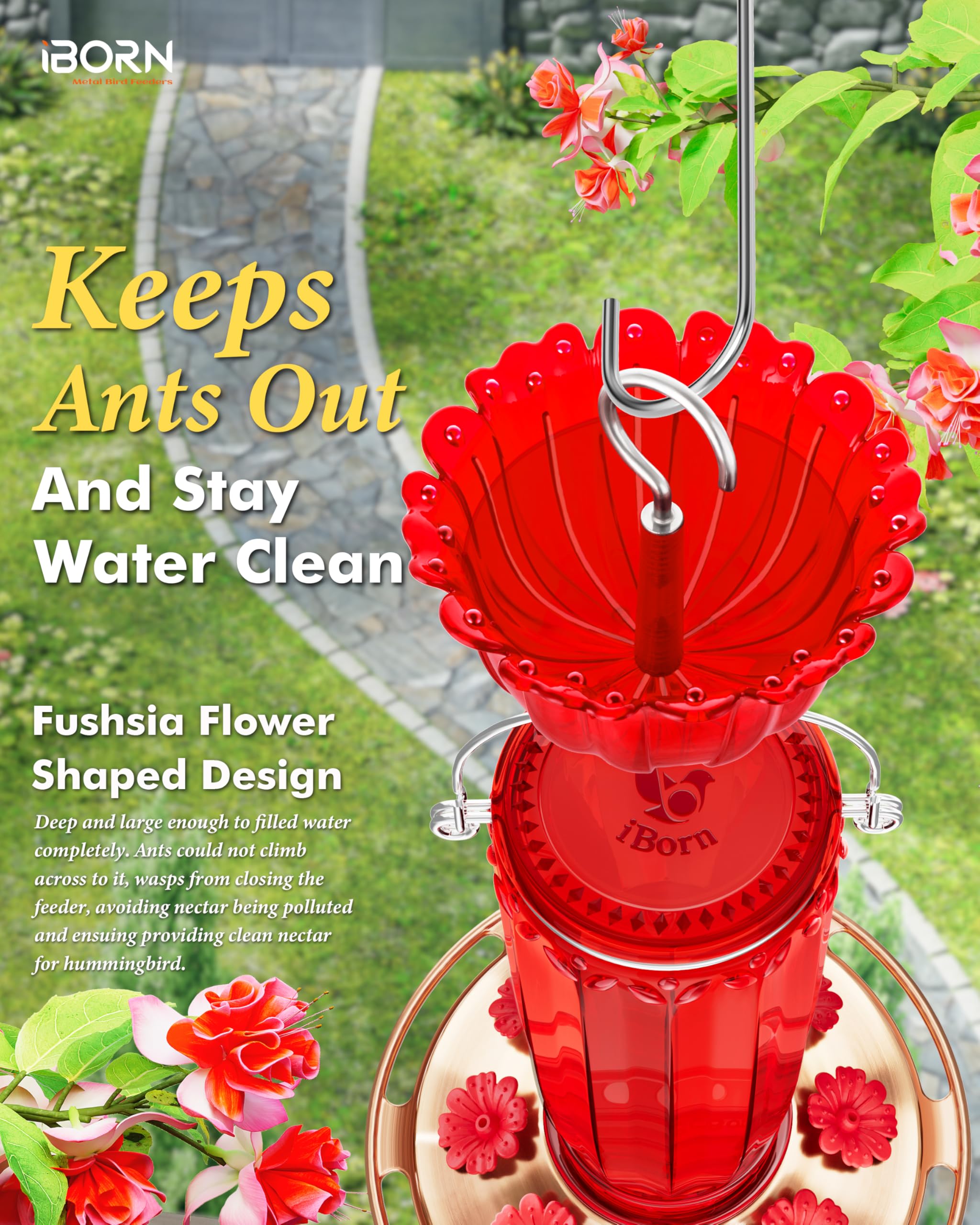 Snapklik.com : iBorn Ant Moat For Hummingbird Feeders,Hanging Bird ...